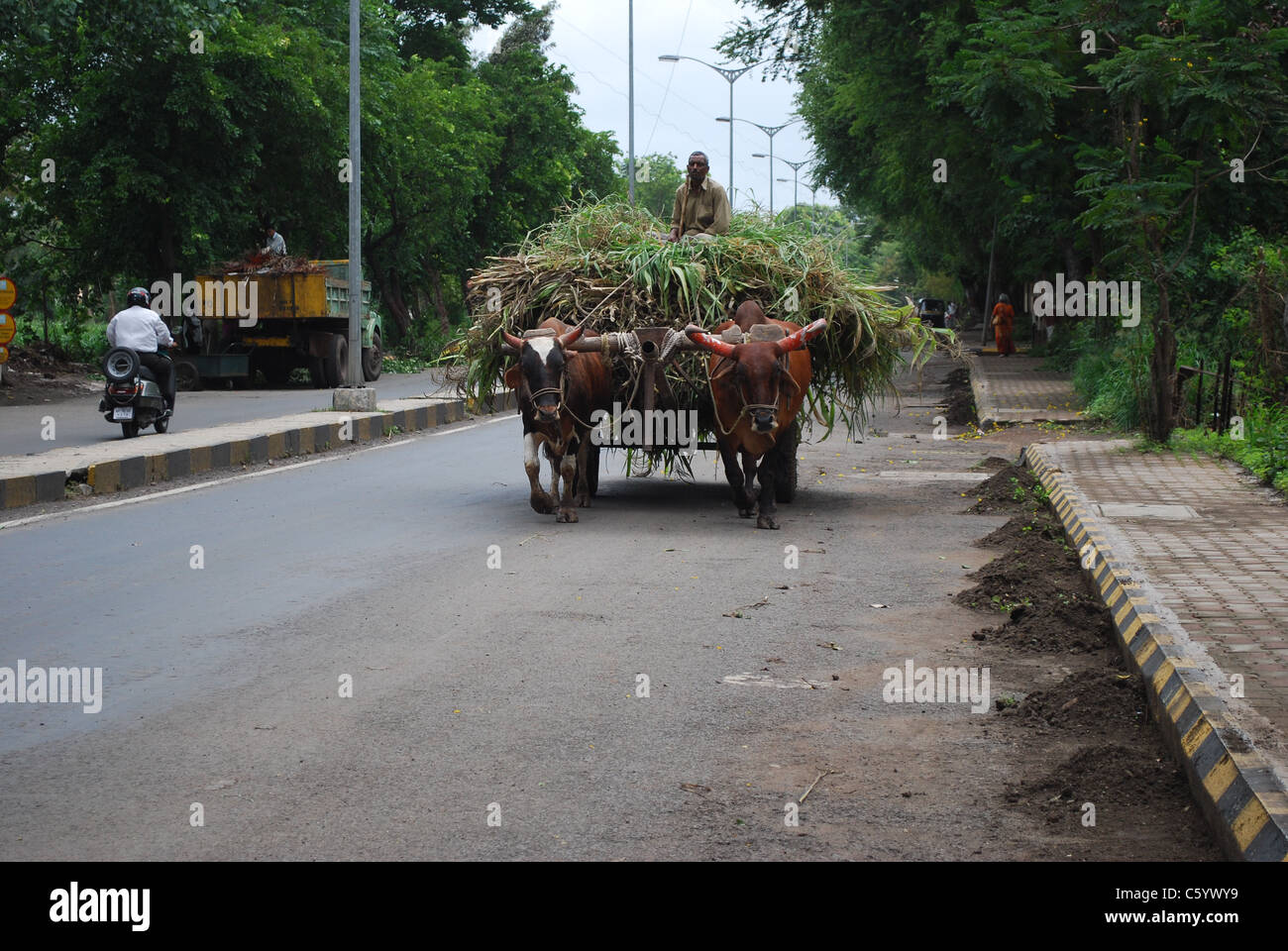 bullock cart on road Stock Photo - Alamy