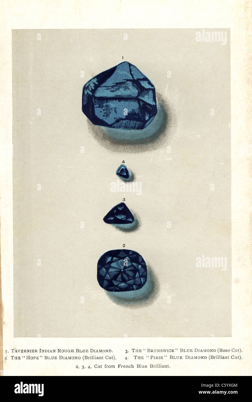 Blue Diamonds: Tavernier Indian rough, Brunswick, Hope and Pirie Stock ...