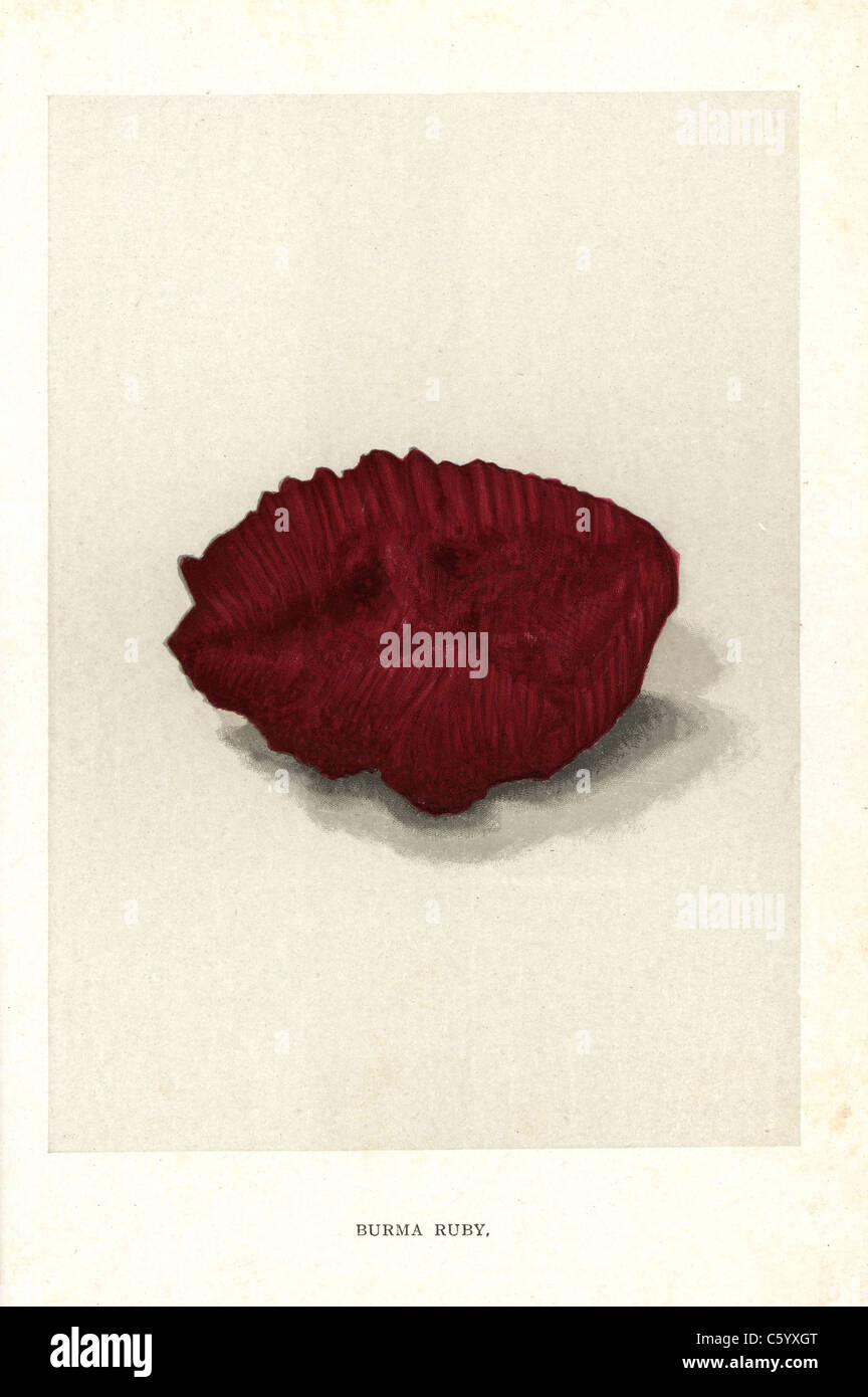 Burma ruby hi-res stock photography and images - Alamy