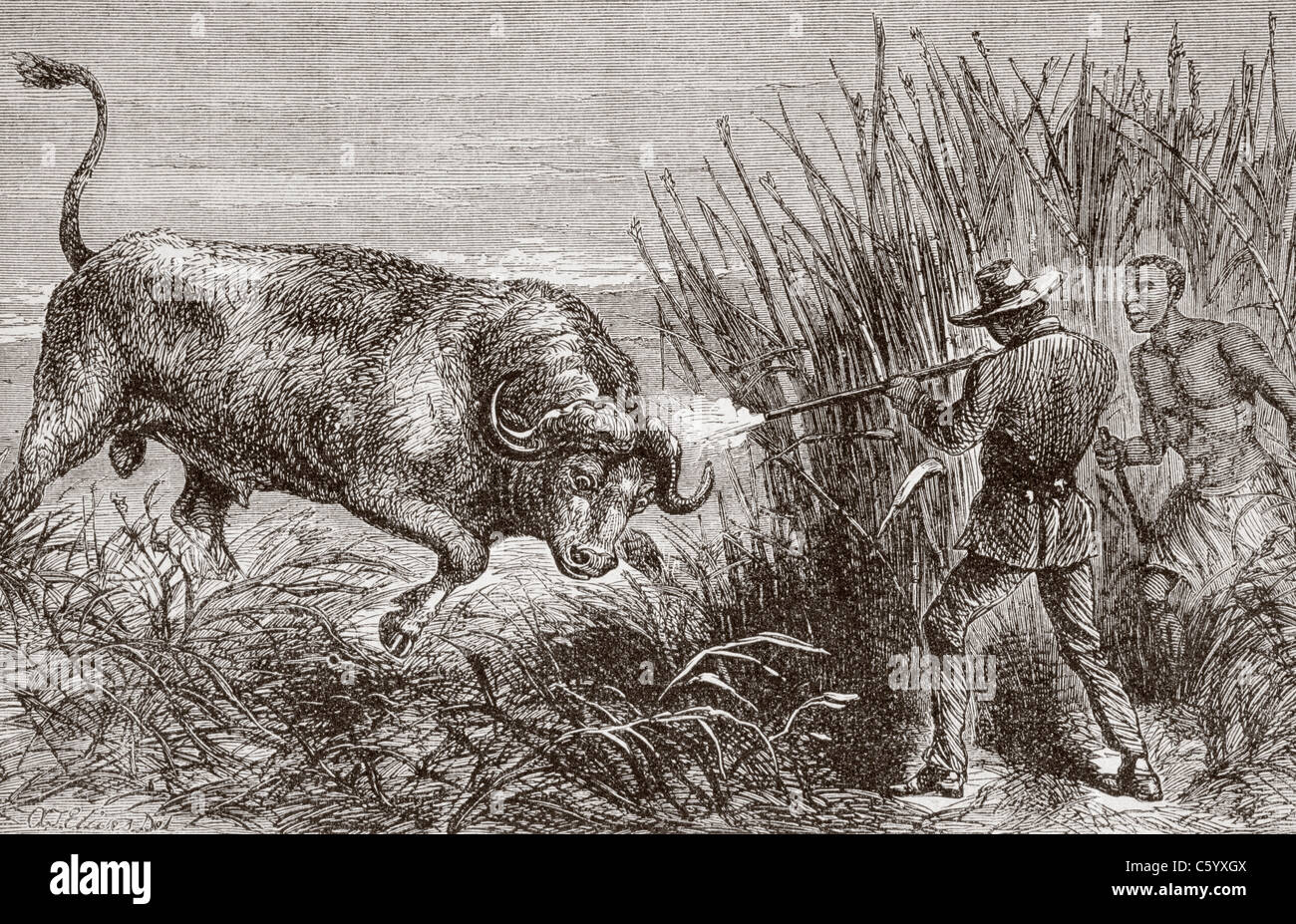 Buffalo hunting 19th century hi-res stock photography and images - Alamy