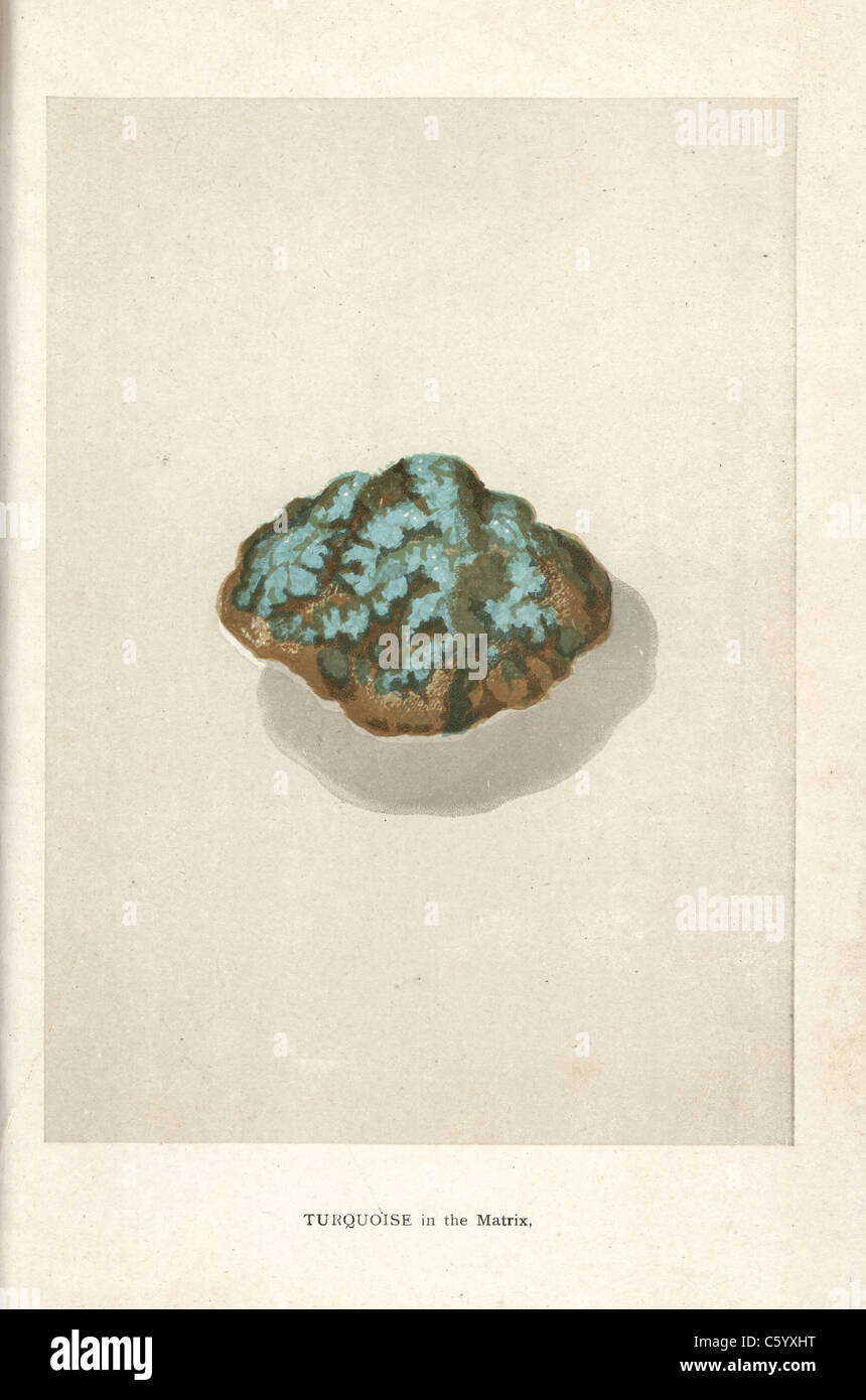 Turquoise in the matrix Stock Photo - Alamy