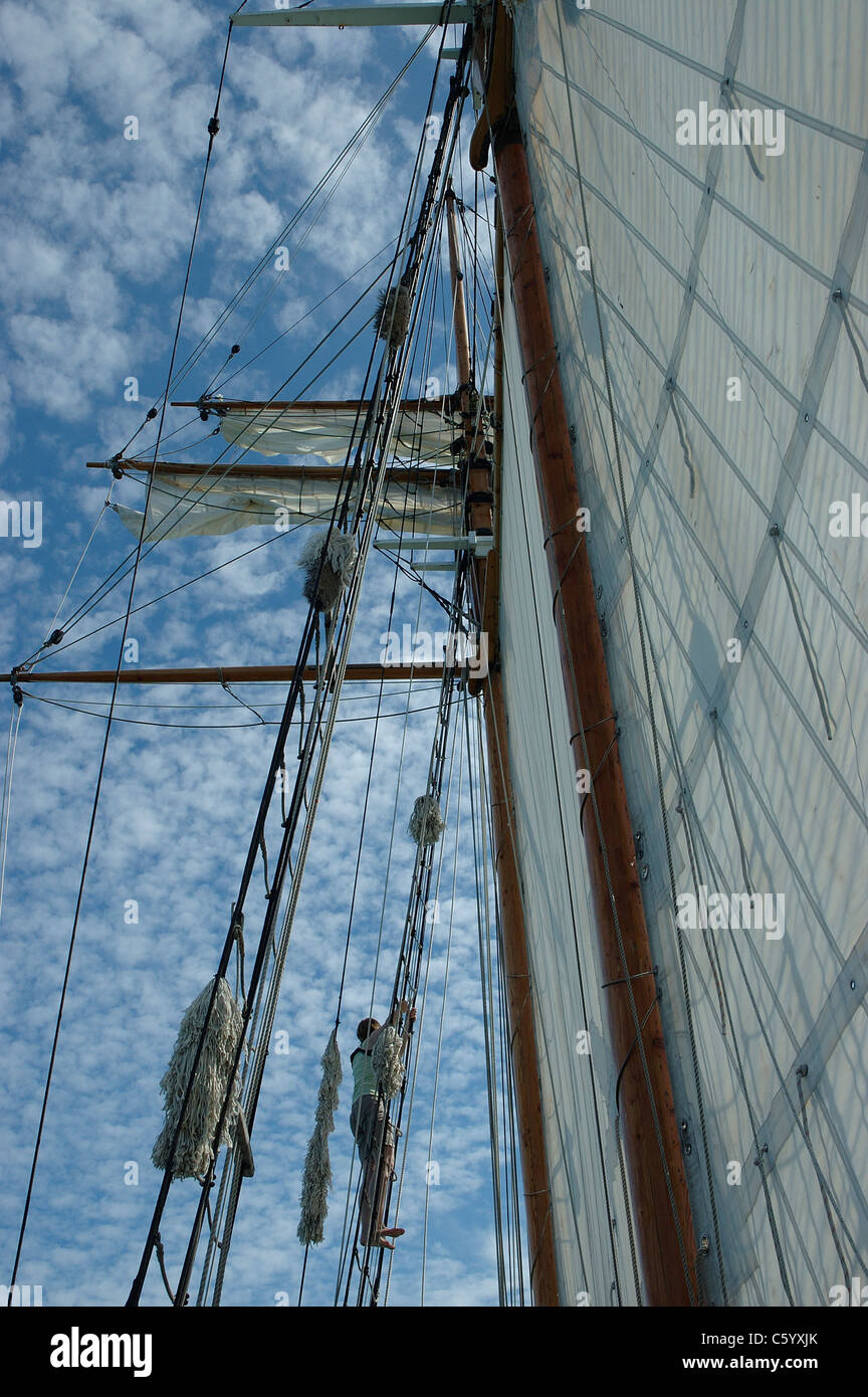 R tucker thompson hi-res stock photography and images - Alamy