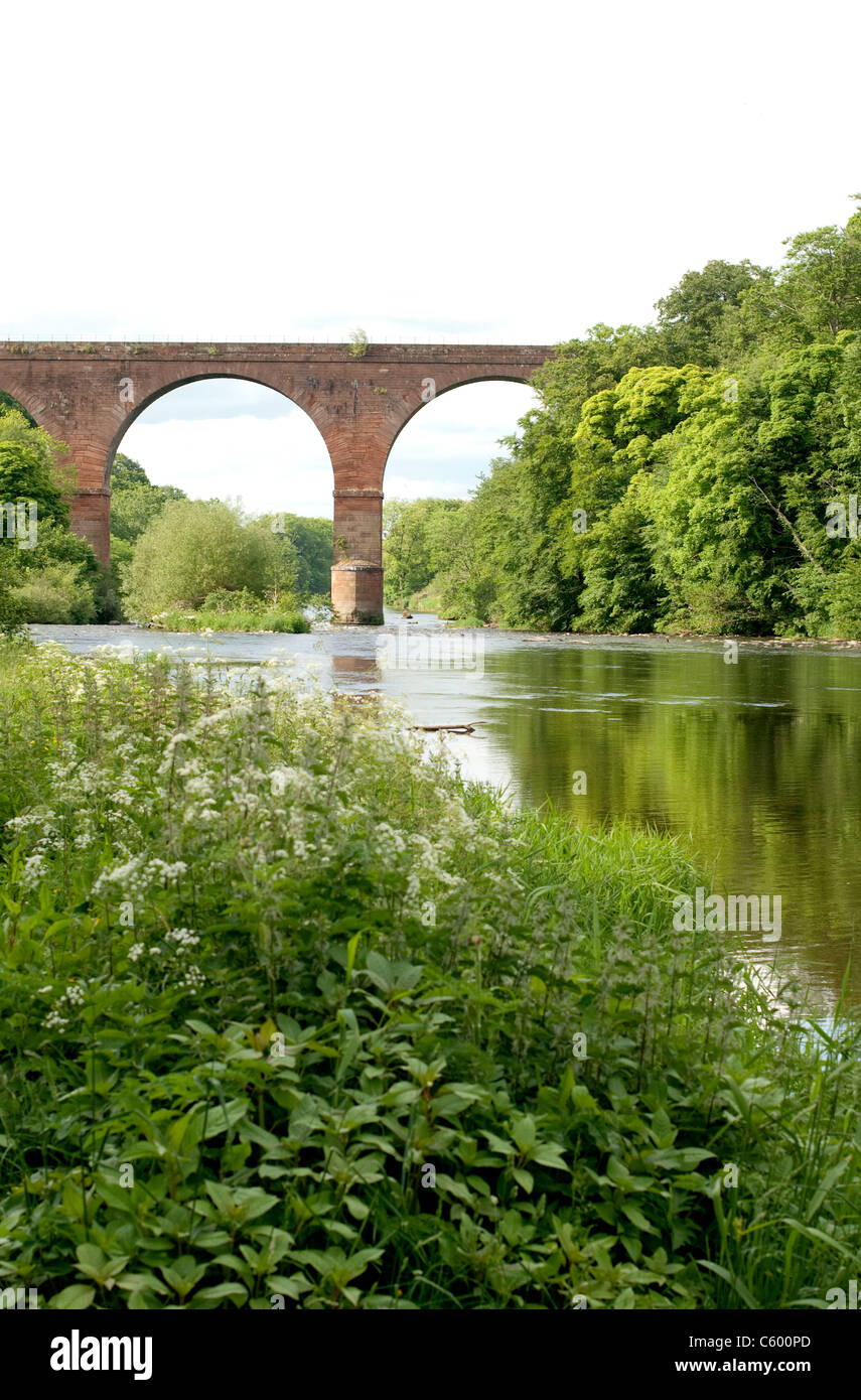 River eden viaduct hi-res stock photography and images - Alamy