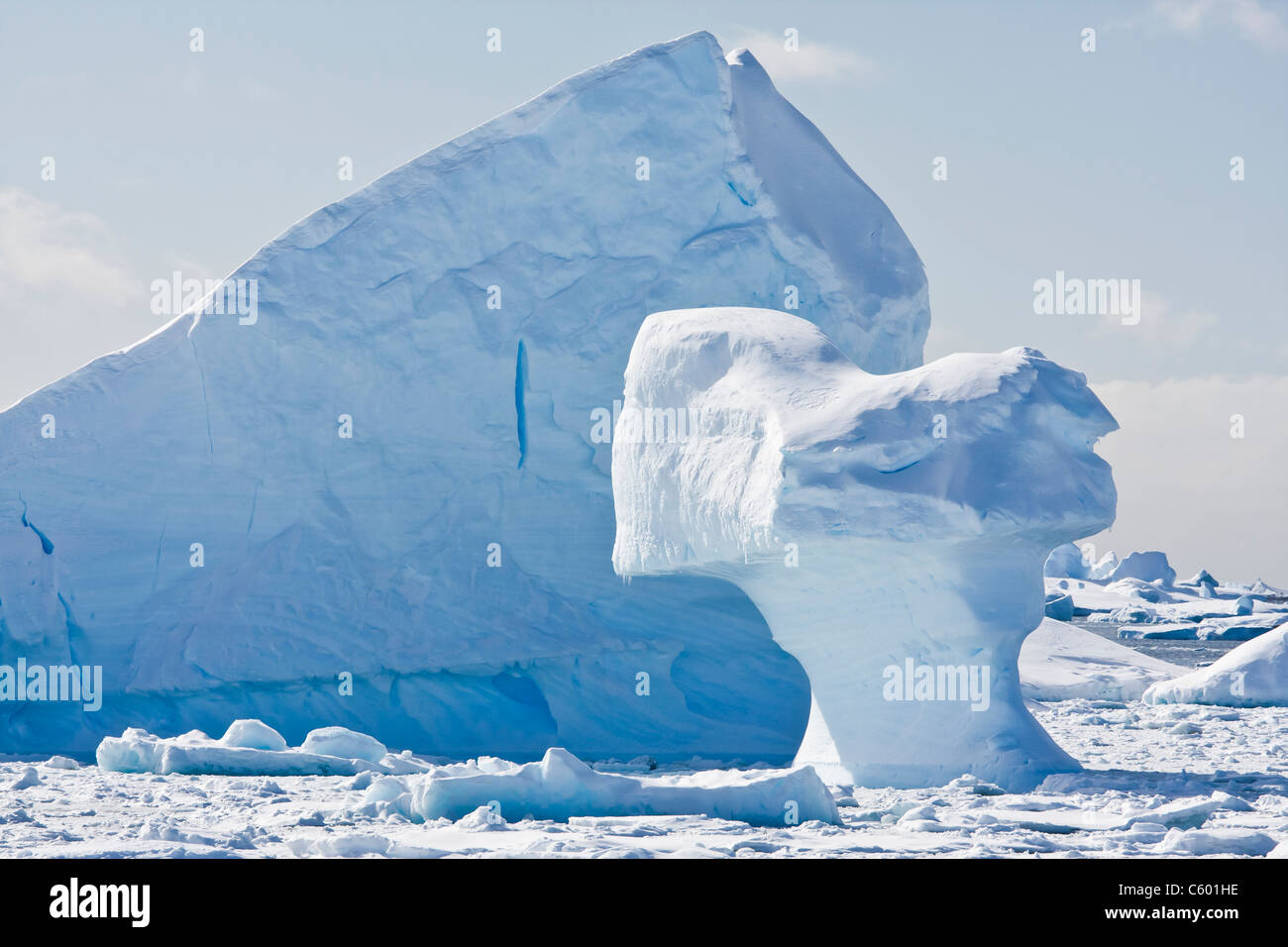 Antarctic iceberg in the snow Stock Photo - Alamy