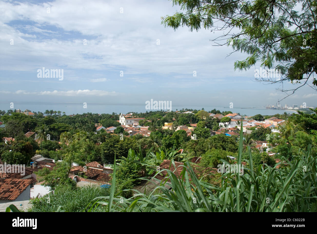 Leafy suburbs hi-res stock photography and images - Alamy