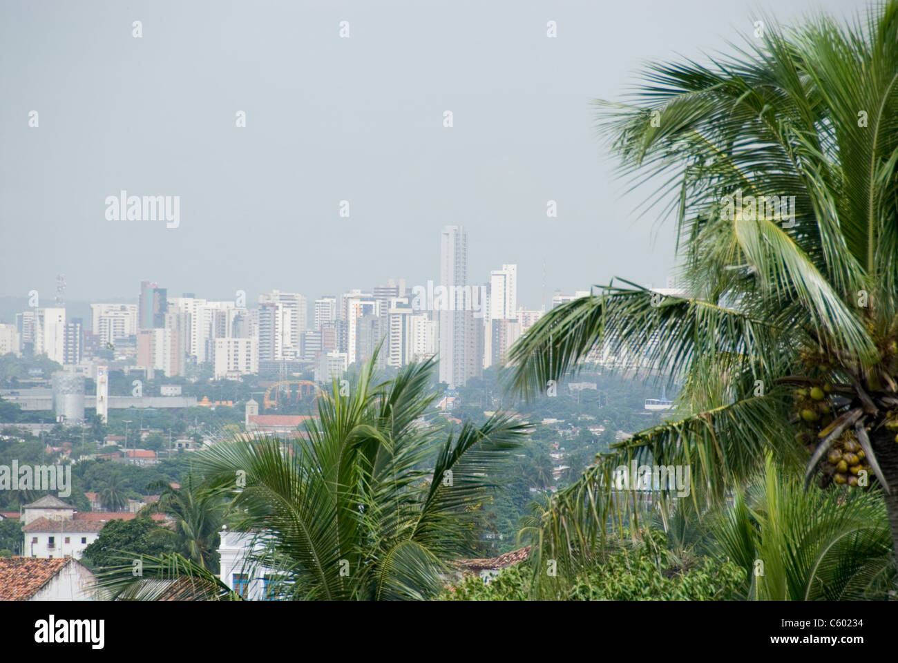 Recife city centre hi-res stock photography and images - Alamy