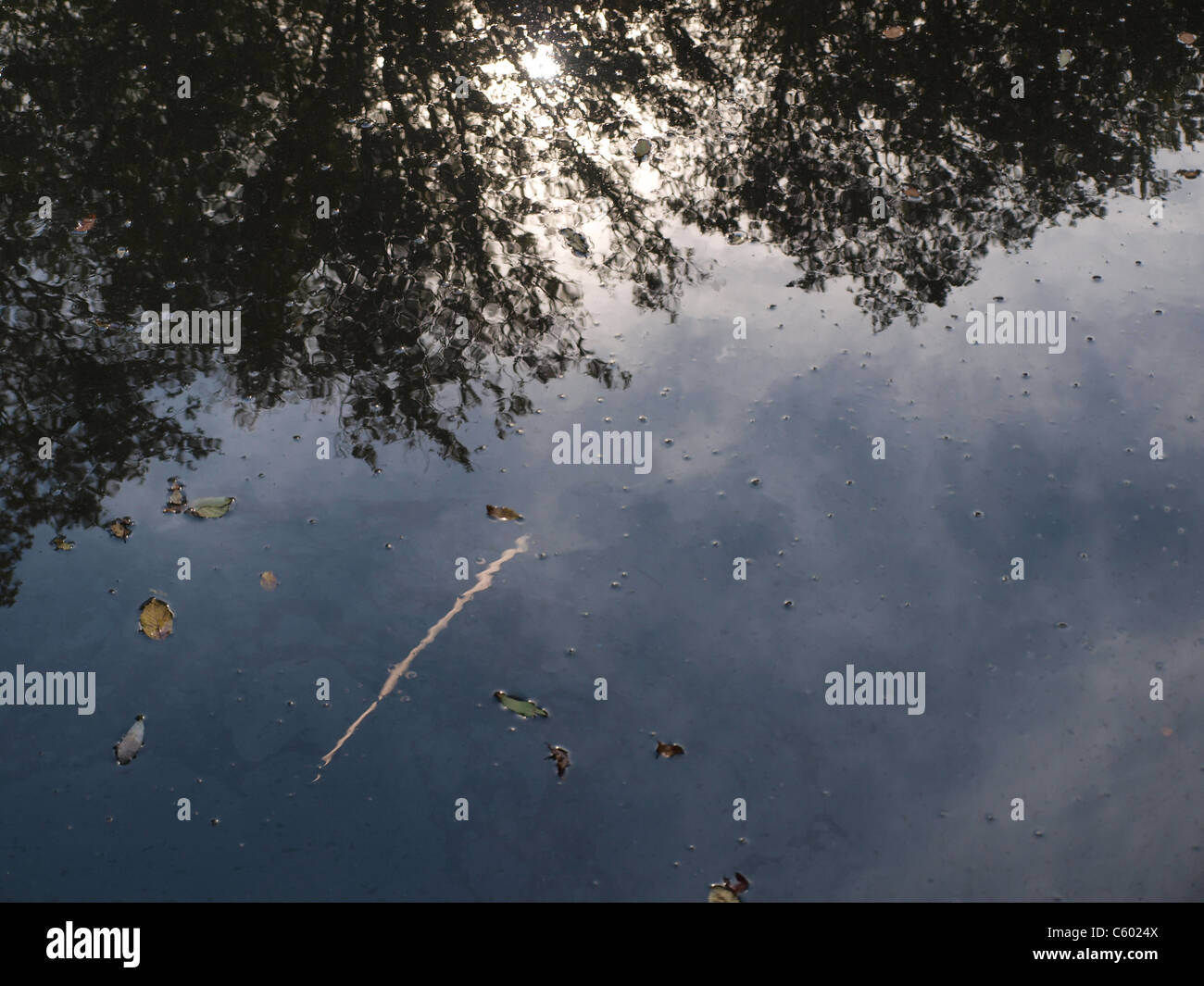 A reflection of woods in a still pond in Luxembourg Stock Photo - Alamy