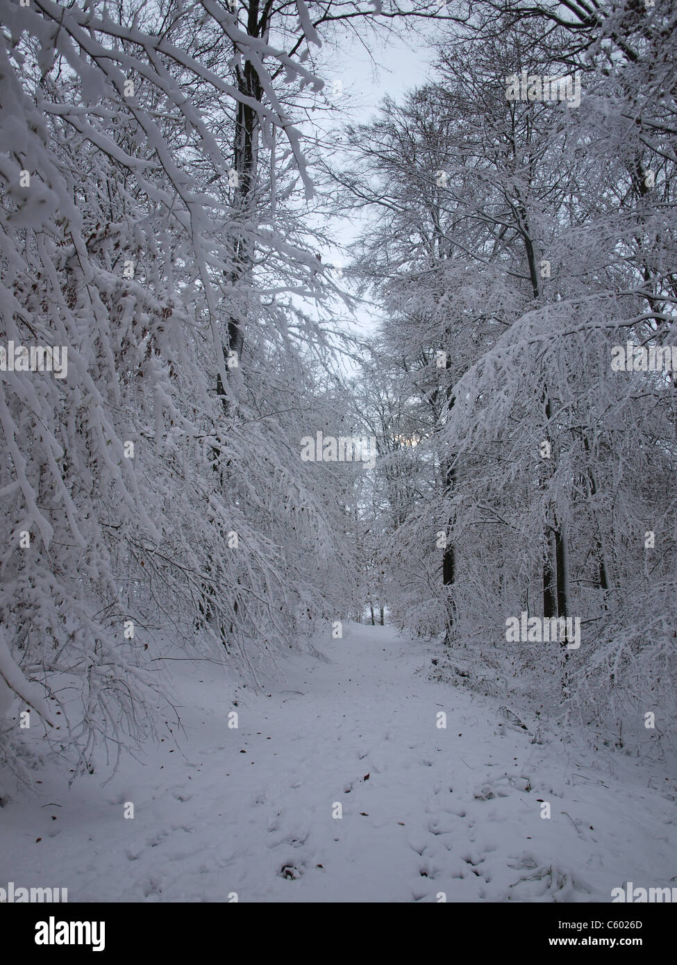 Sagging branches hi-res stock photography and images - Alamy