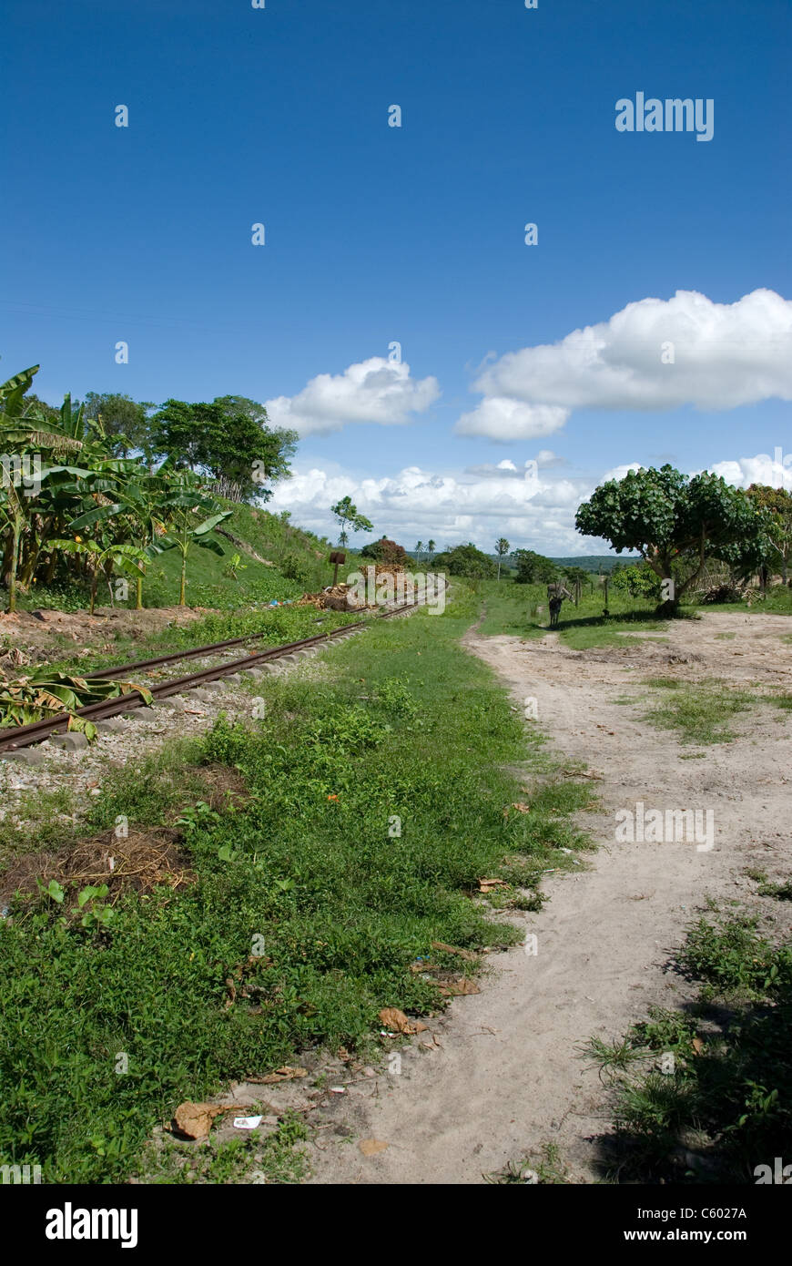 Brazilian countryside hi-res stock photography and images - Alamy