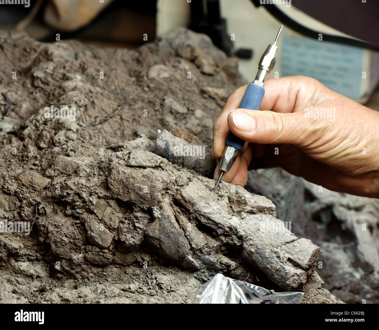 A volunteer works with a stylus as she prepares and restores a ...