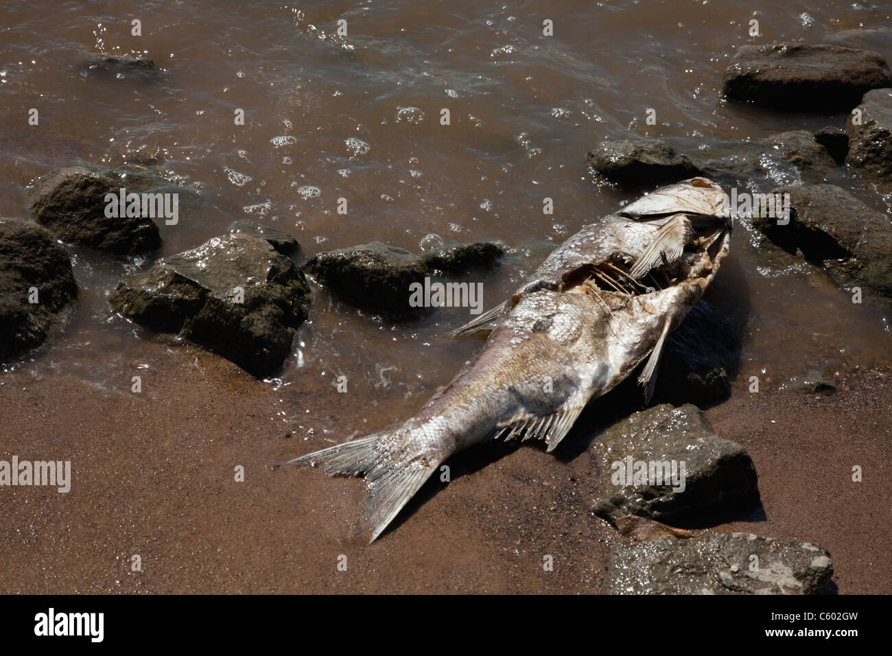 Peoria east hi-res stock photography and images - Alamy