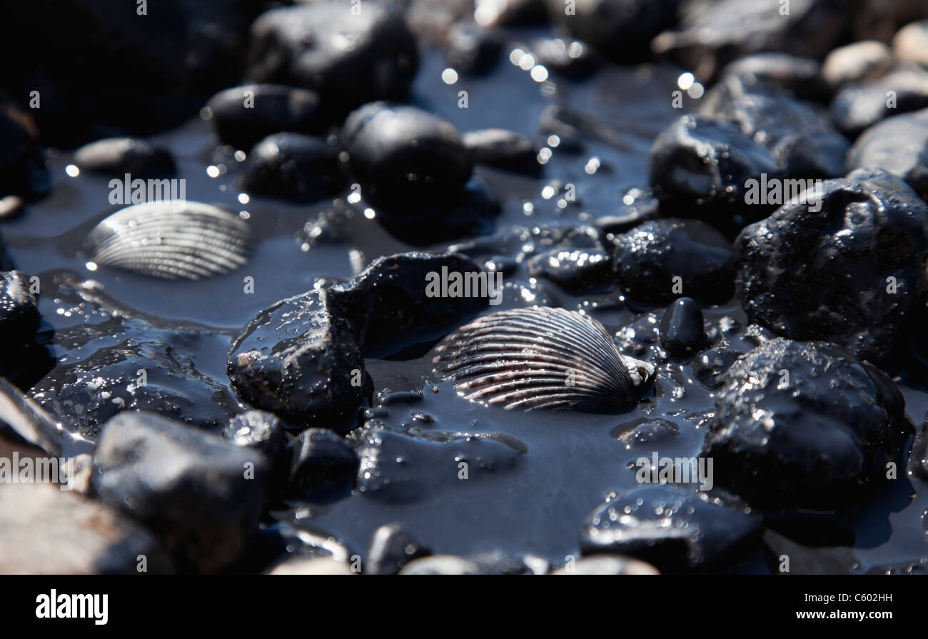 East peoria illinois hi-res stock photography and images - Alamy