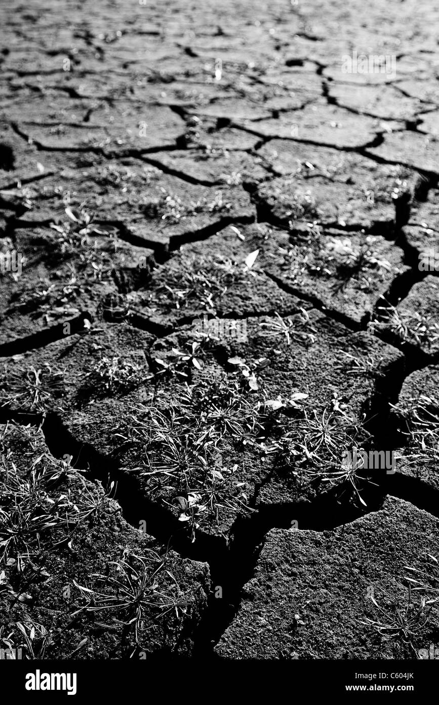 Bursted hi-res stock photography and images - Alamy