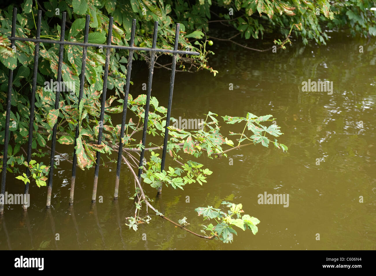Hampstead pond men's hi-res stock photography and images - Alamy