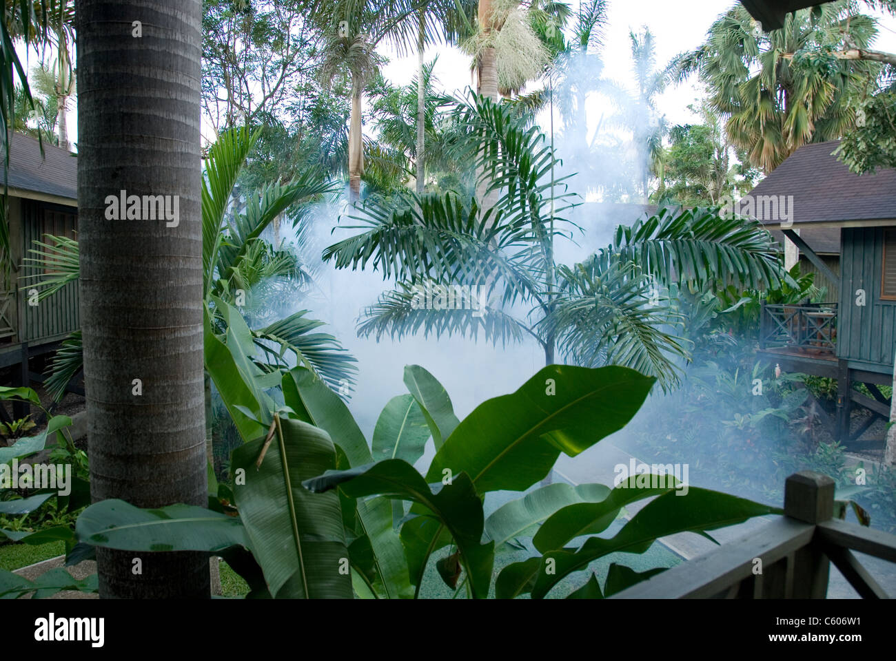 Mosquito Control Jamaican Style Stock Photo Alamy