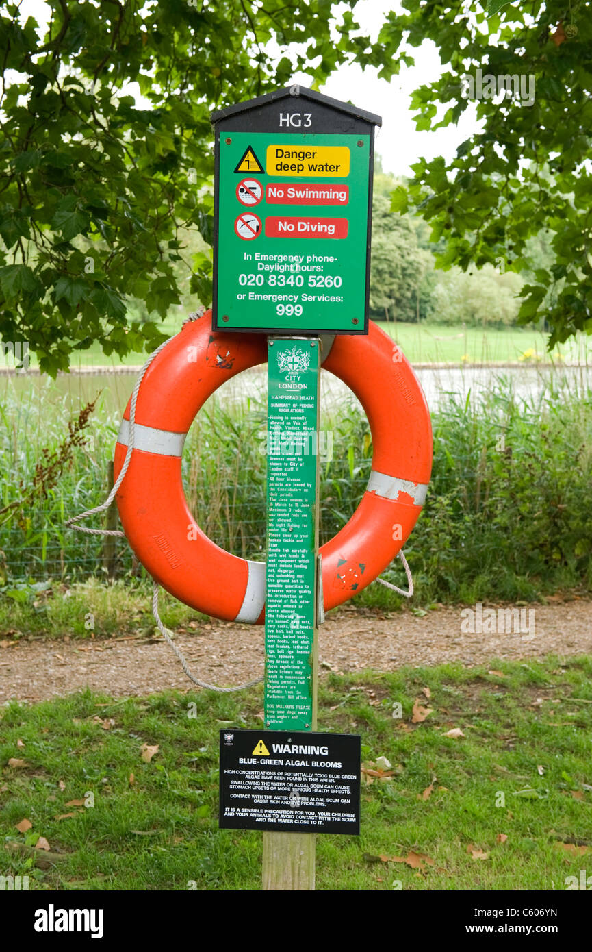 Highgate pond swimming hi-res stock photography and images - Alamy