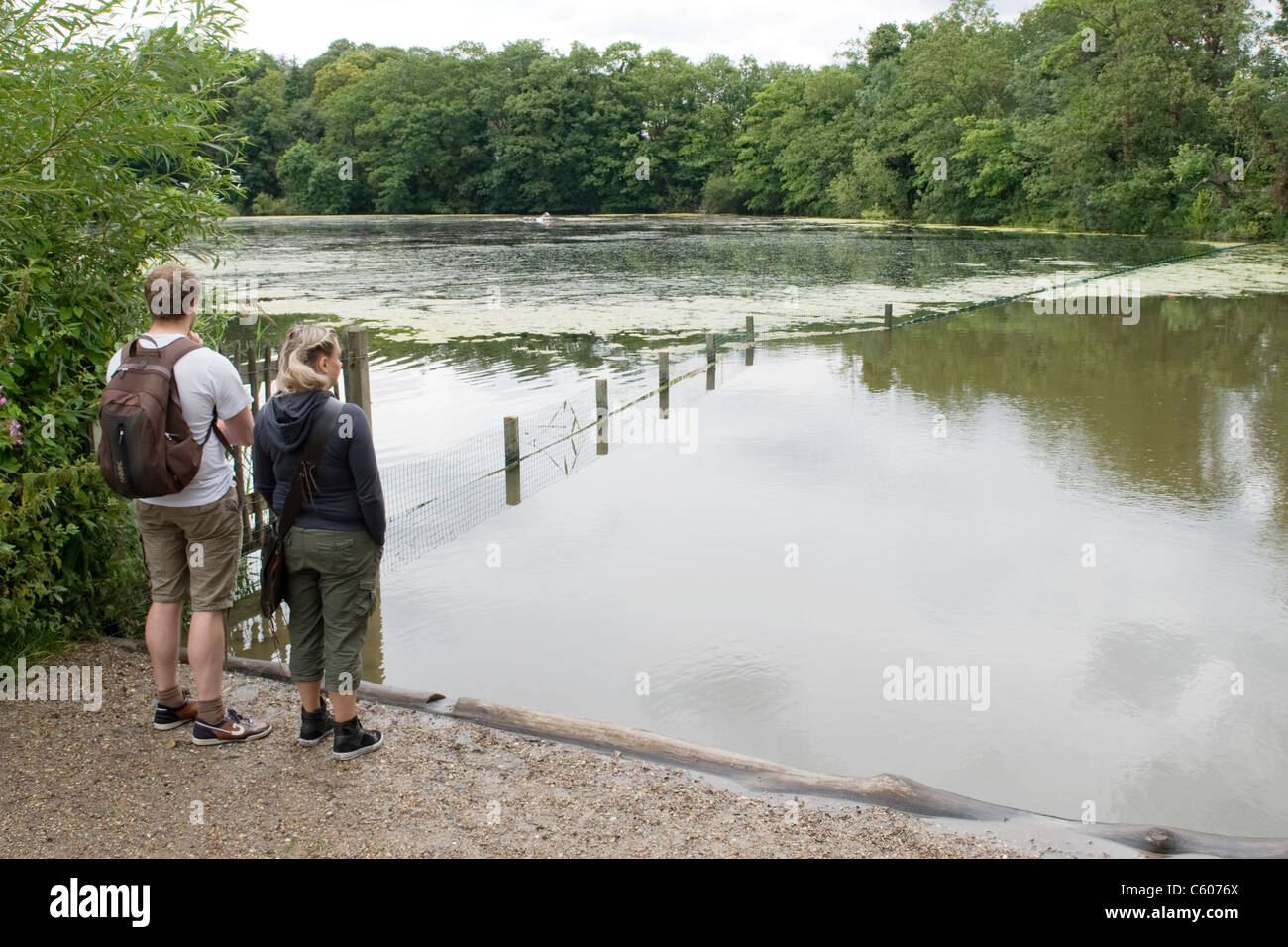 London Parliament Hill Hampstead Heath Highgate no. 1 pond young couple ...