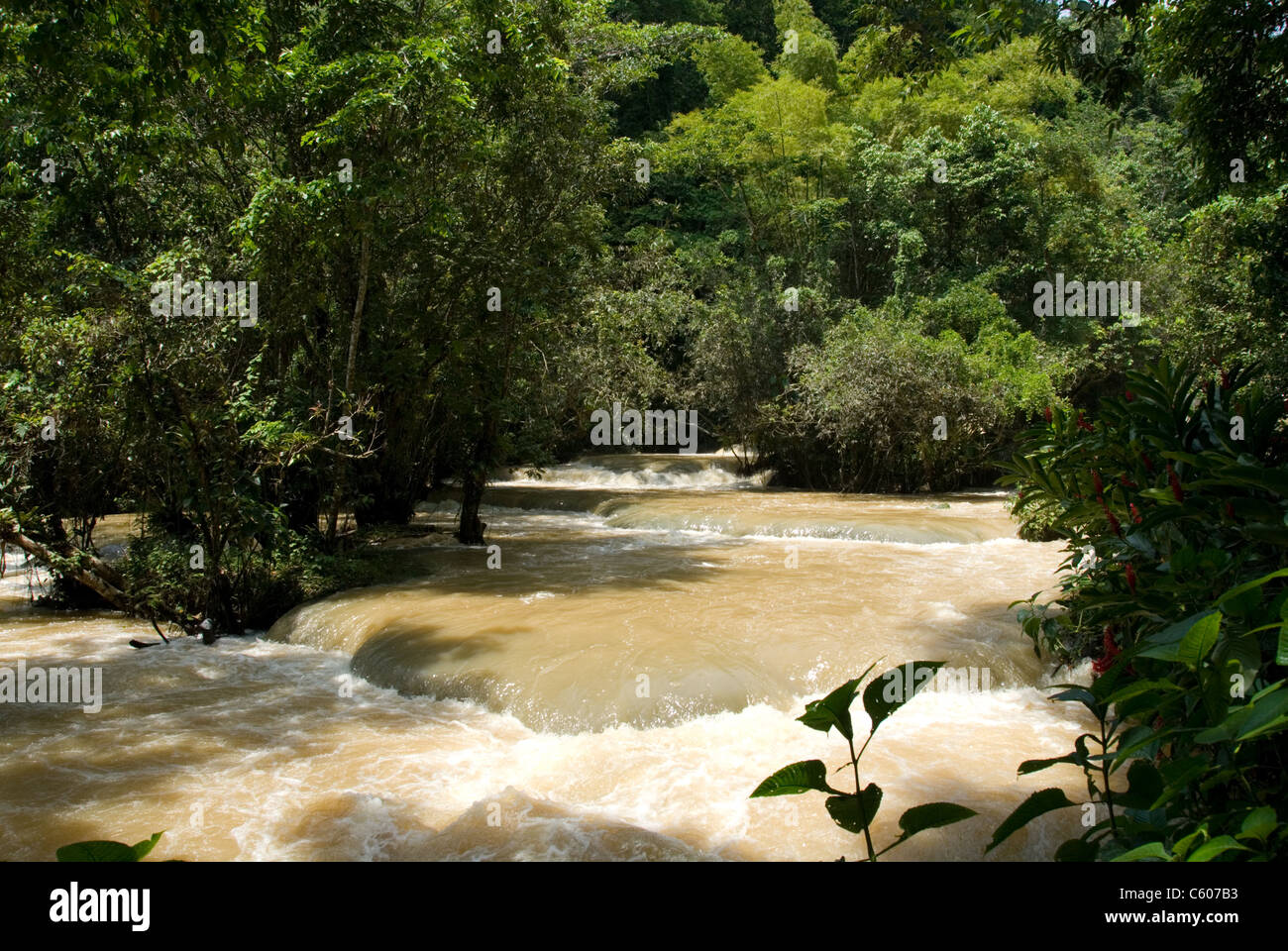 Black River Jamaica Caribbean High Resolution Stock Photography and ...