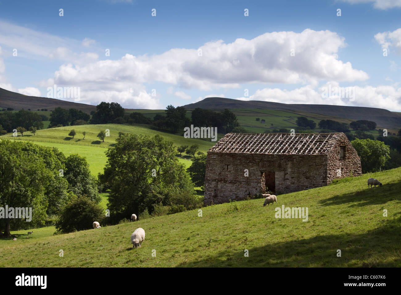 Old roofless barn hi-res stock photography and images - Alamy