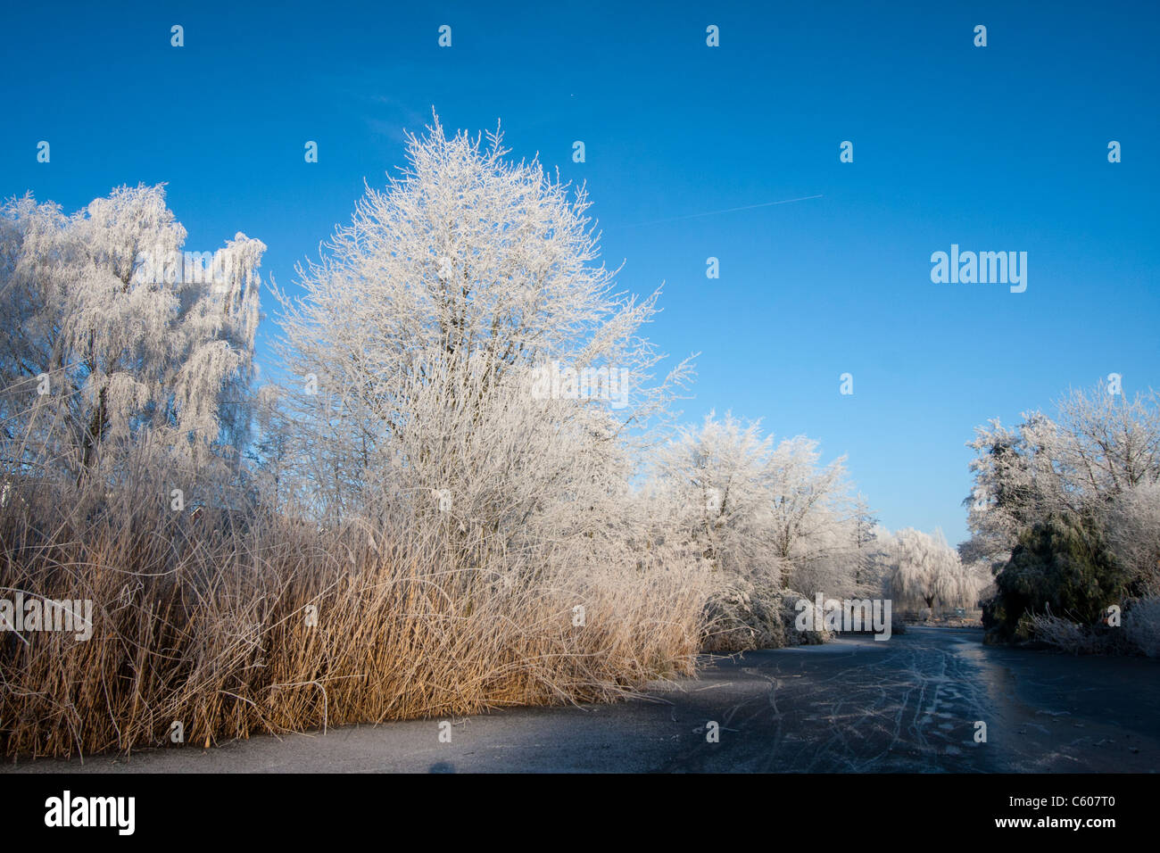 Cold winter with frozen lakes and canals, iced trees Stock Photo - Alamy