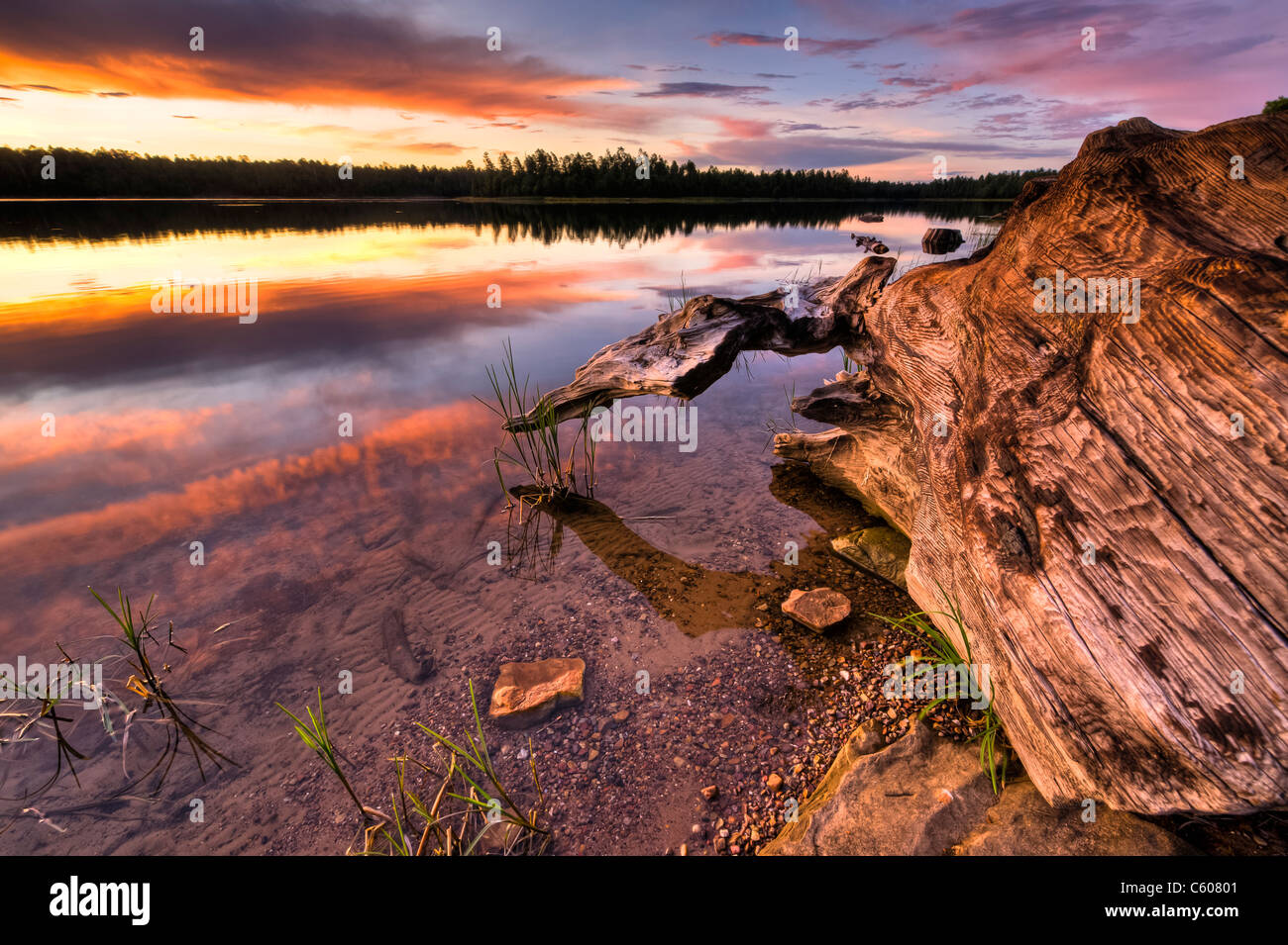 Willow Springs is one of the most accessible of the Rim lakes and has a ...