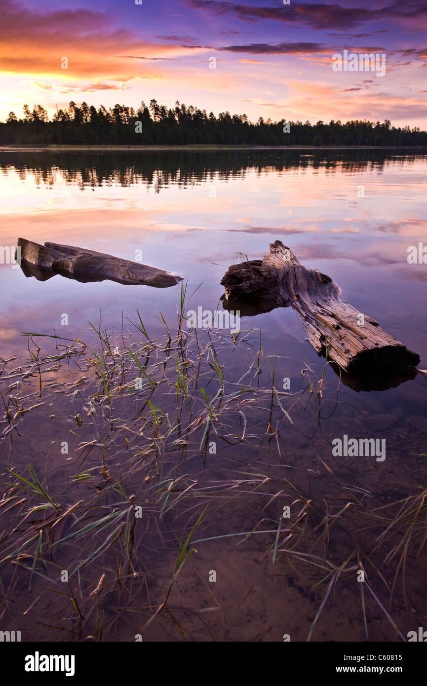 Willow Springs is one of the most accessible of the Rim lakes and has a ...
