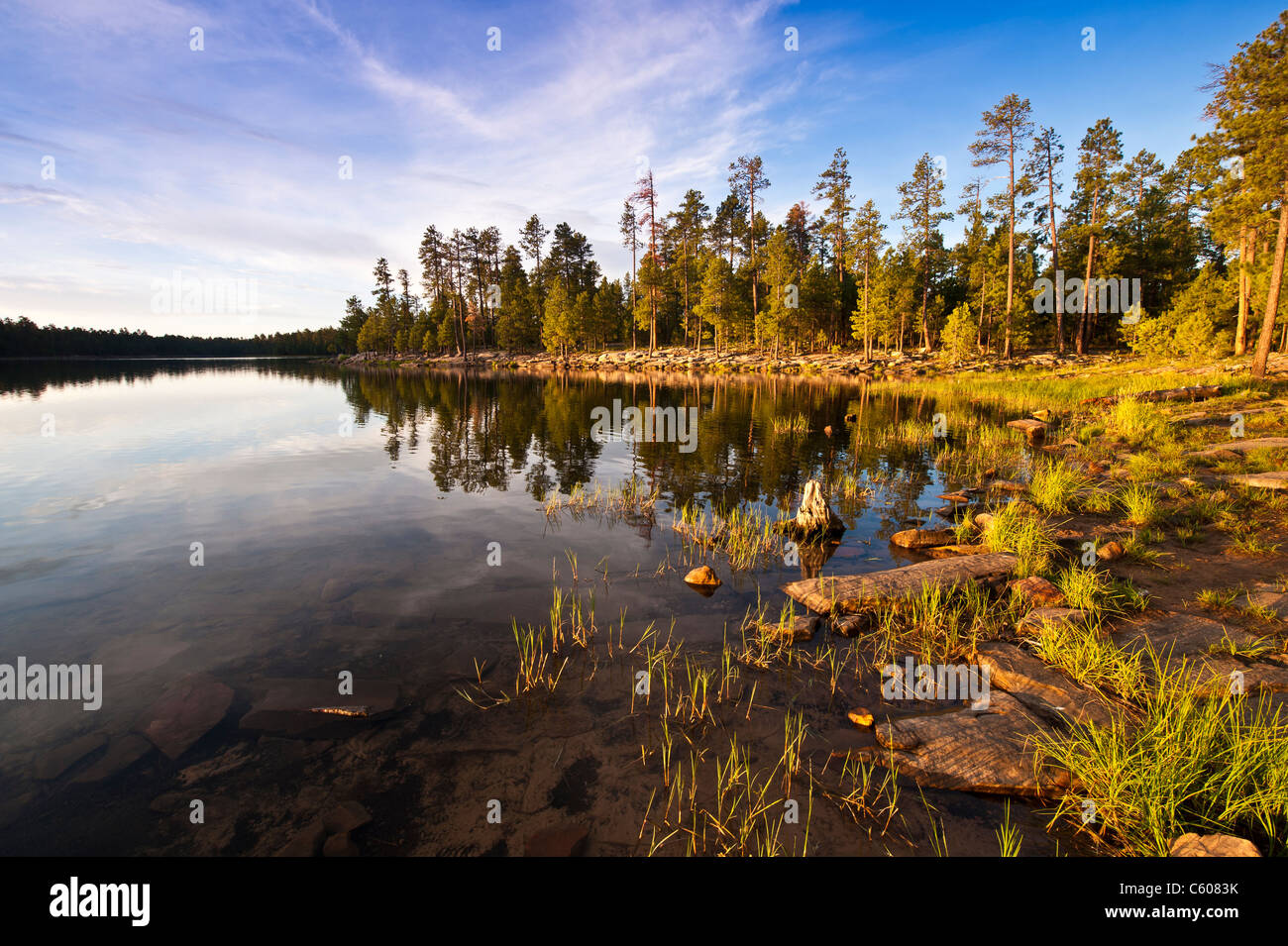 Willow Springs is one of the most accessible of the Rim lakes and has a ...