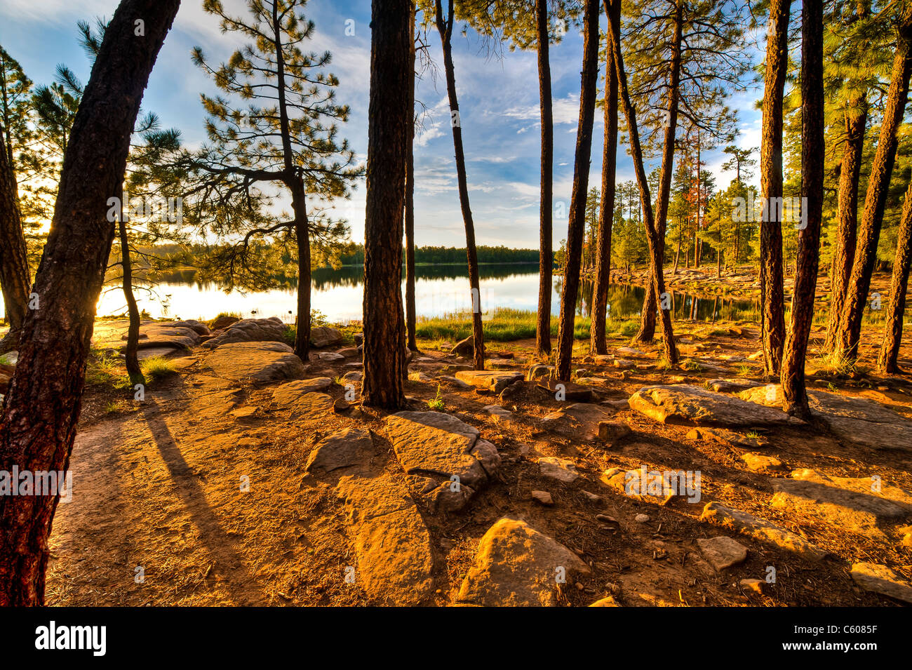 Willow Springs is one of the most accessible of the Rim lakes and has a ...