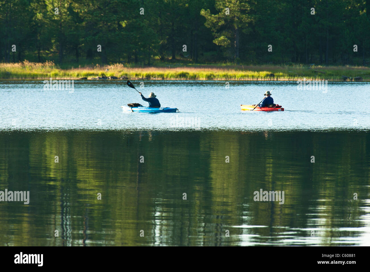 The beautiful Willow Springs Lake on the Mogollon Plateau is one of the ...