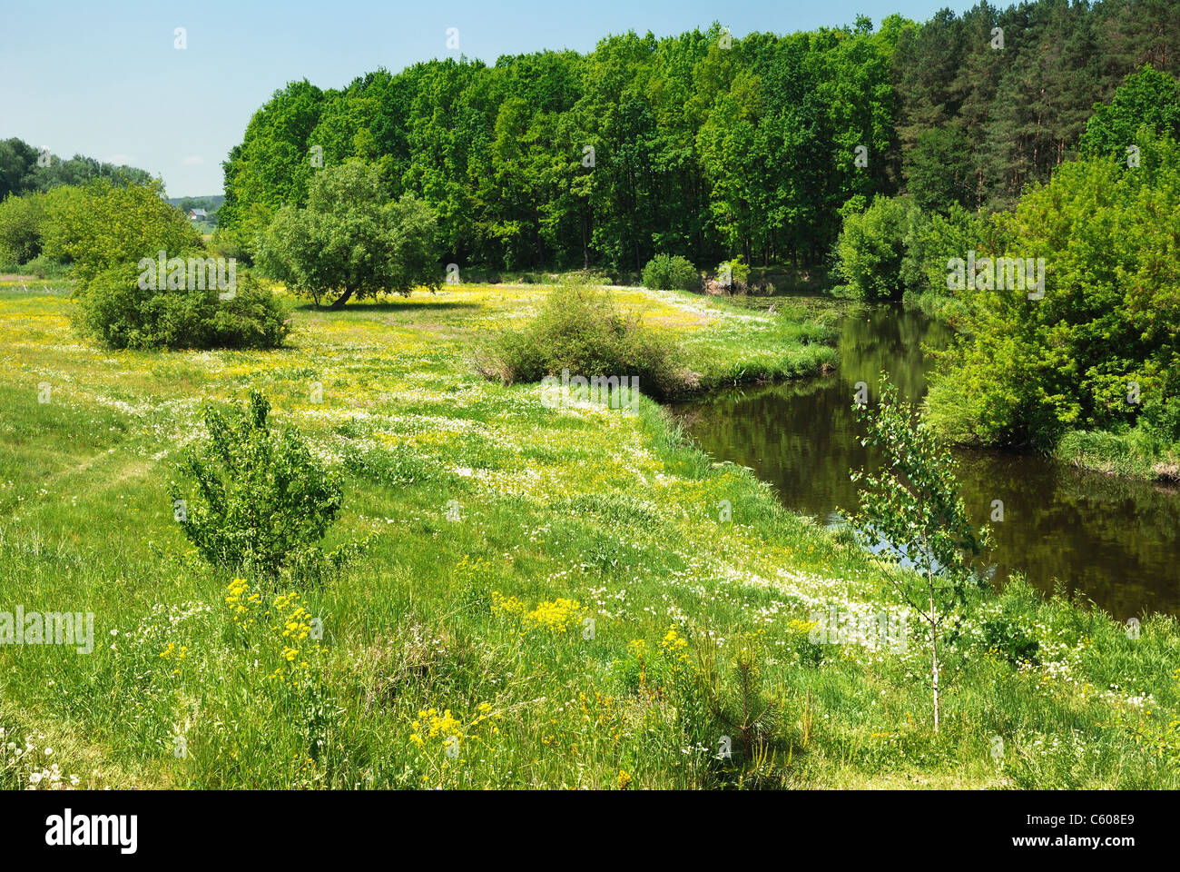 Ukrainian summer landscape, Polesia, central Ukraine Stock Photo - Alamy