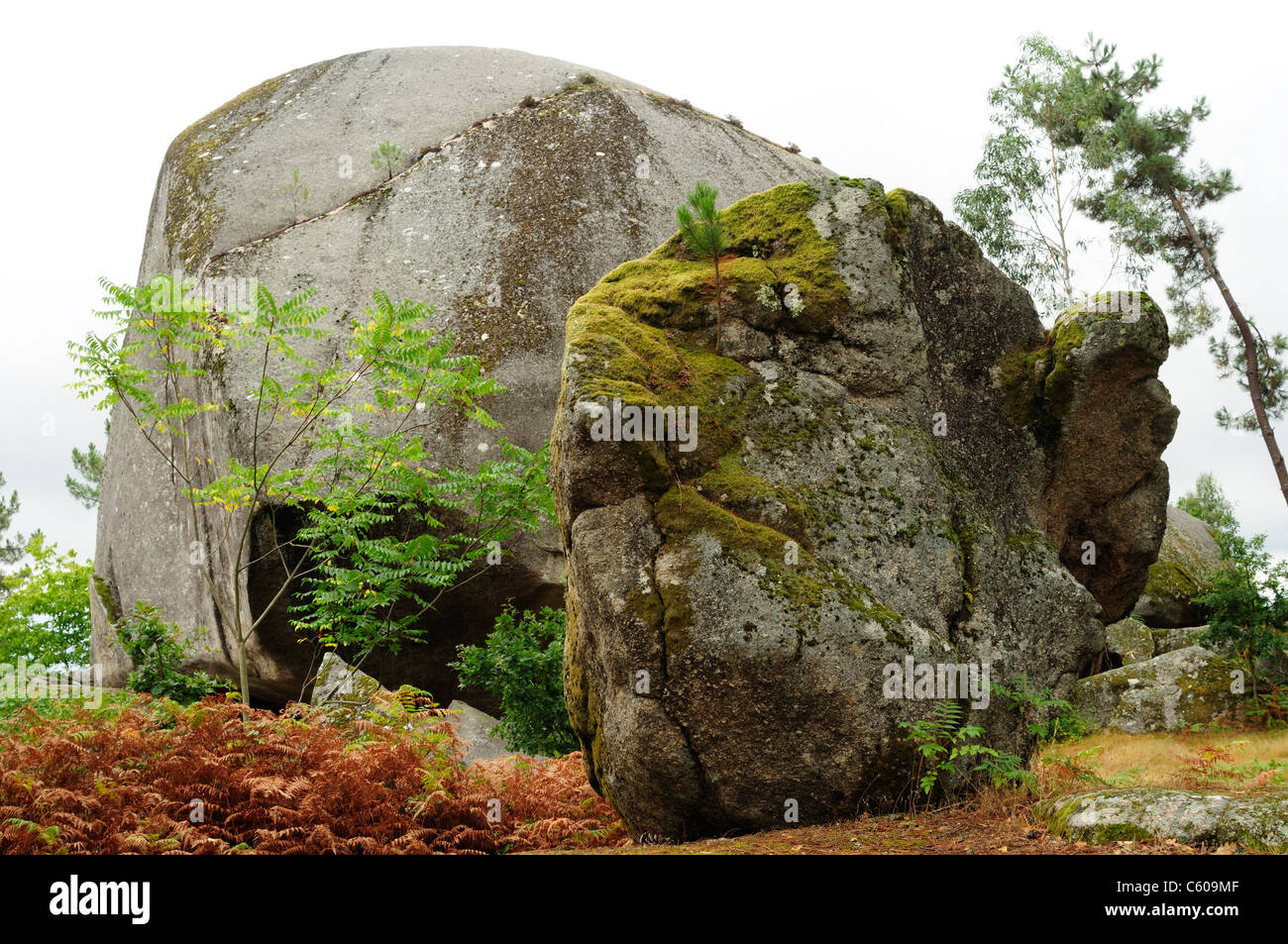 Granitic Boulder High Resolution Stock Photography and Images - Alamy
