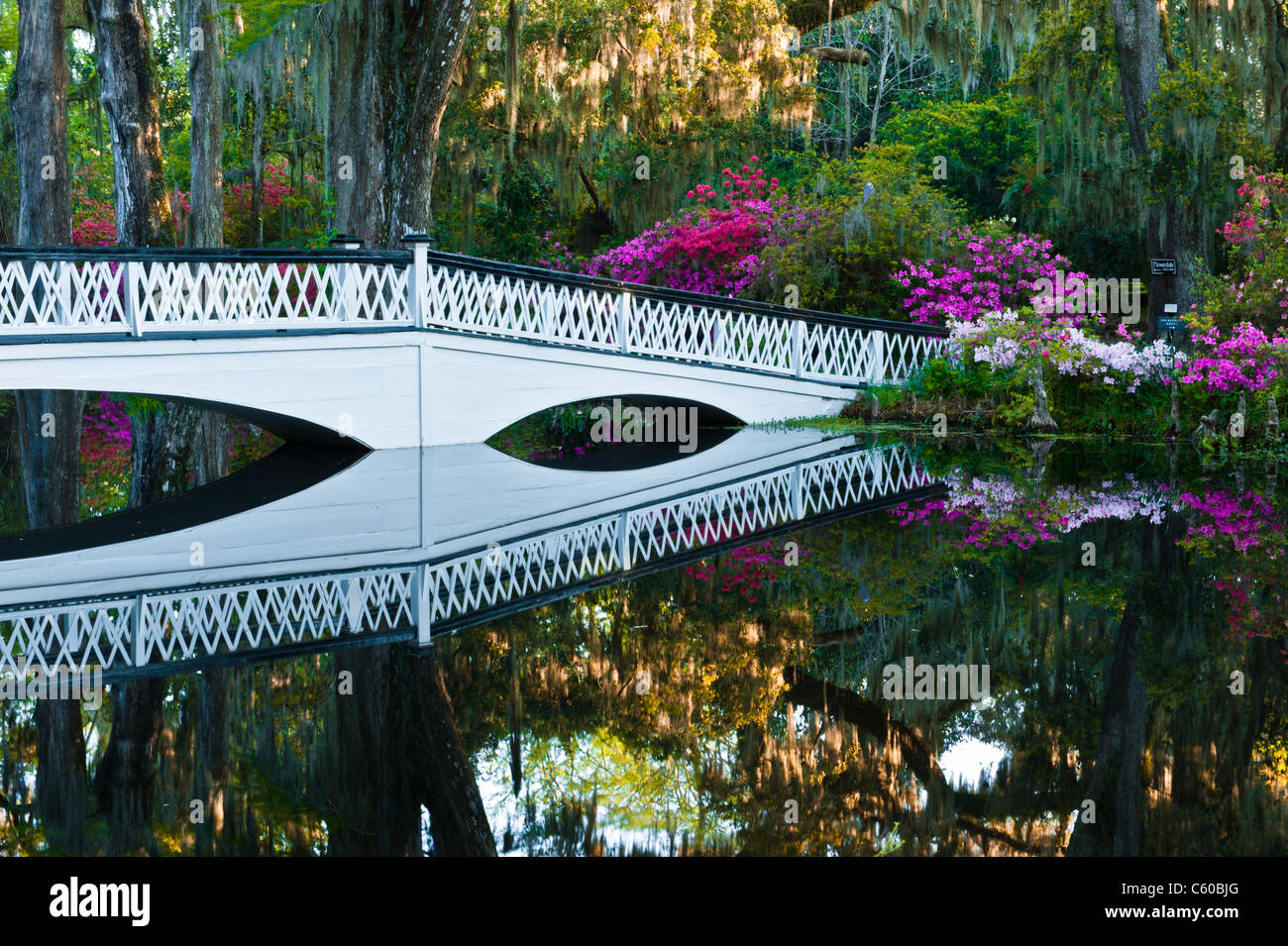 White bridge and reflection in water Stock Photo - Alamy