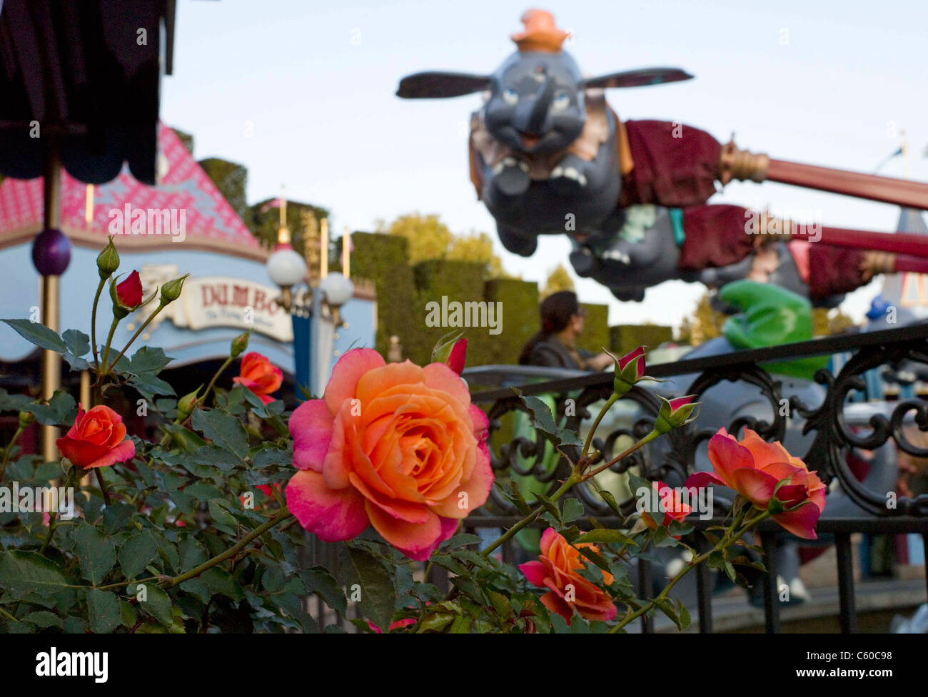 DISNEYLAND Dumbo ride attraction anaheim, california Stock Photo - Alamy