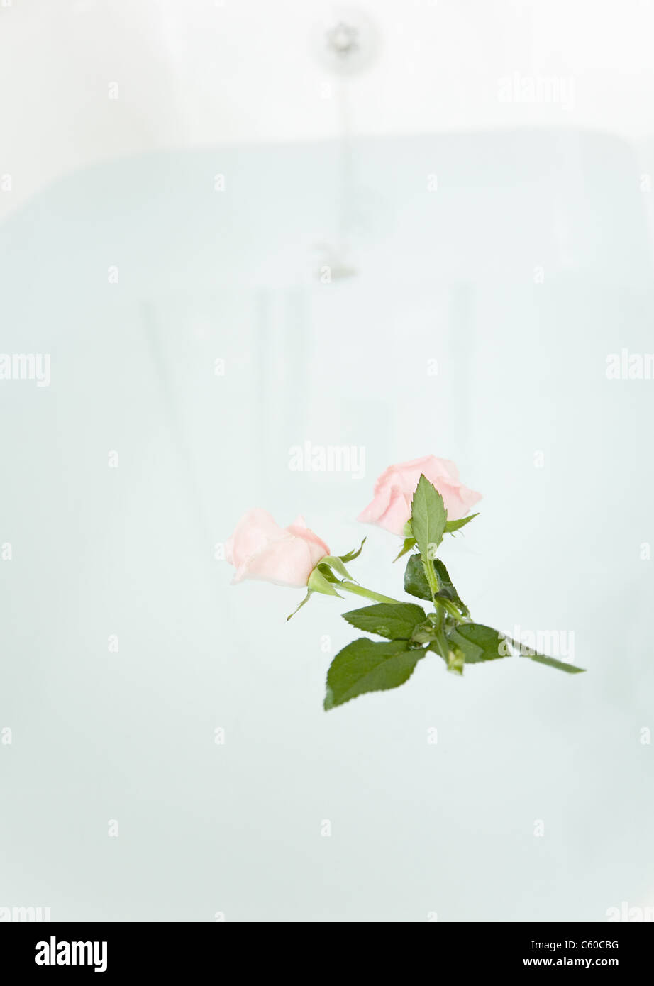 Roses floating in bathtub Stock Photo - Alamy