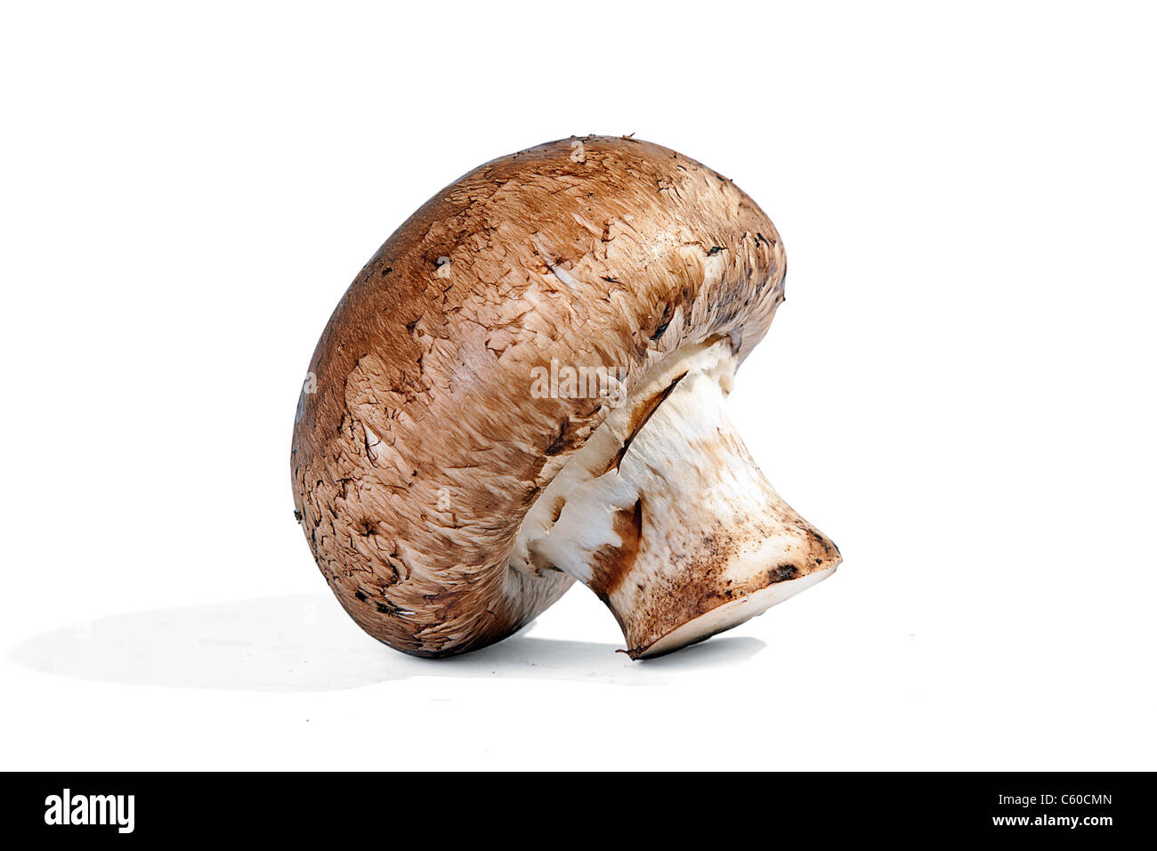 Champignon mushroom isolated on white background Stock Photo - Alamy