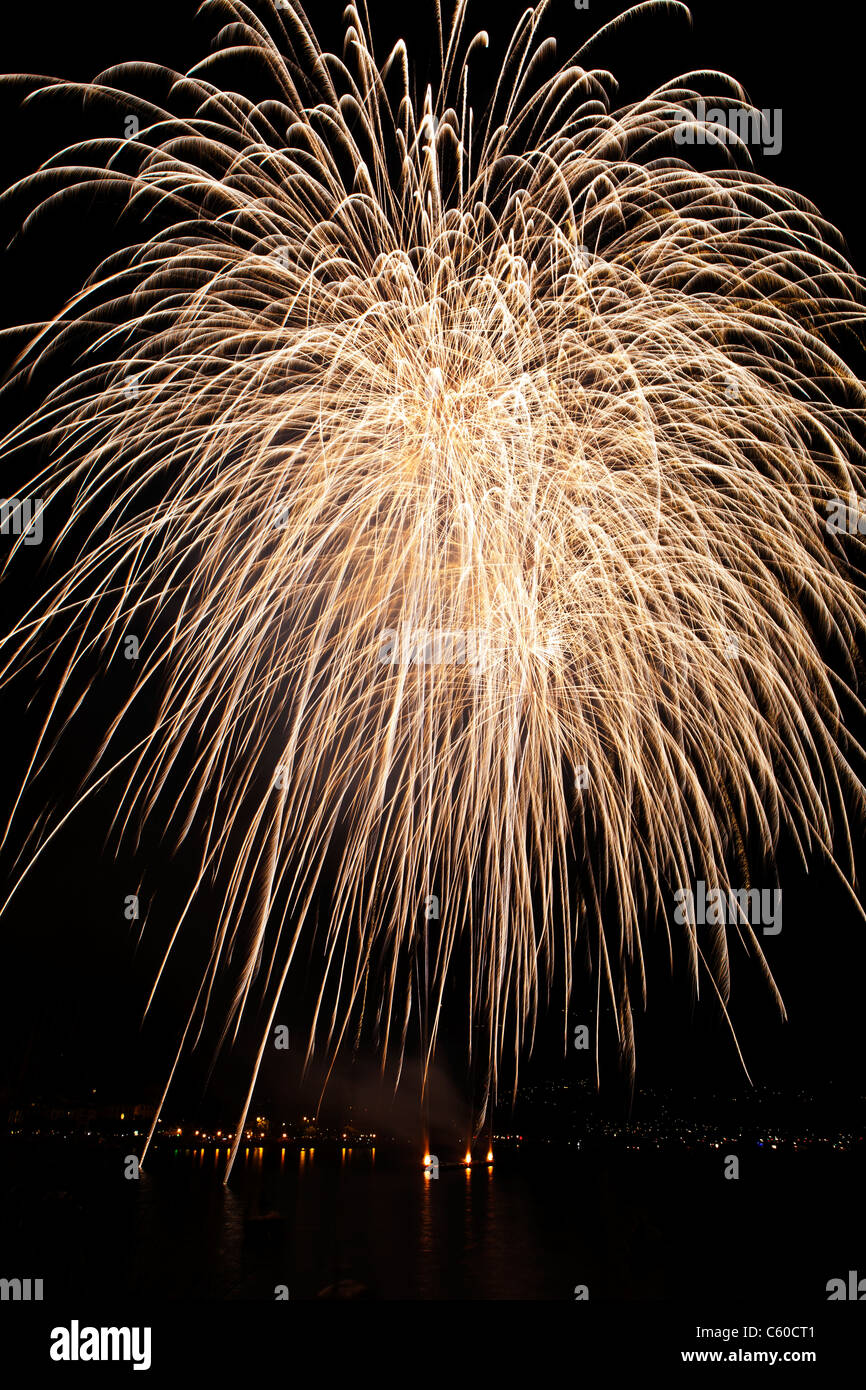 Fireworks in the night sky Stock Photo - Alamy