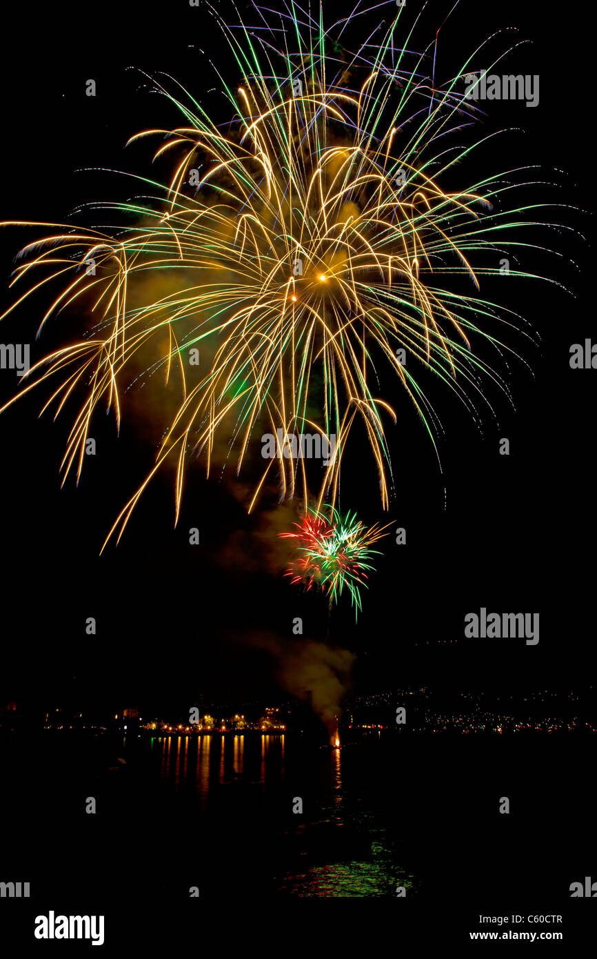 Fireworks in the night sky Stock Photo - Alamy