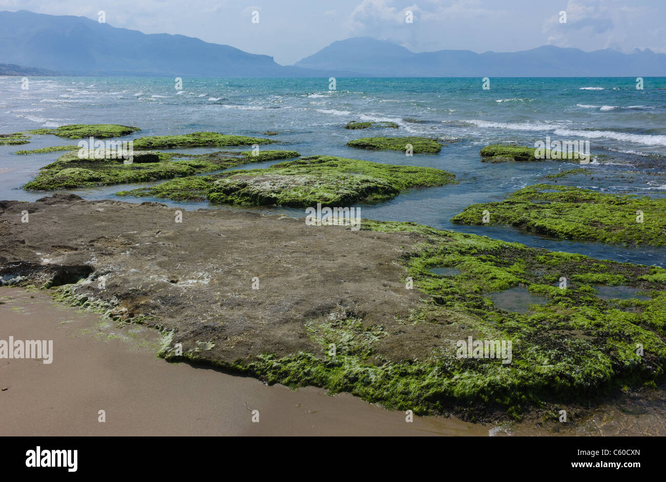 View on beautiful sunny beach with sandbanks covered with algae and ...