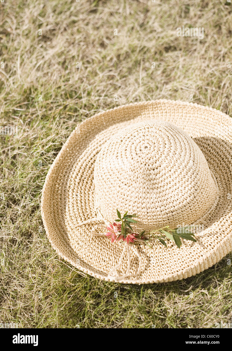 Christmas bush new south wales hi-res stock photography and images - Alamy