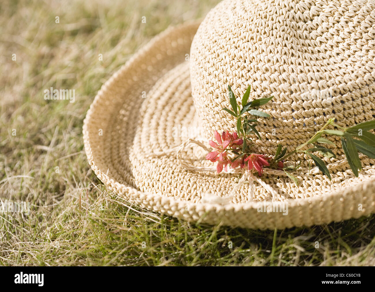 Christmas bush new south wales hi-res stock photography and images - Alamy