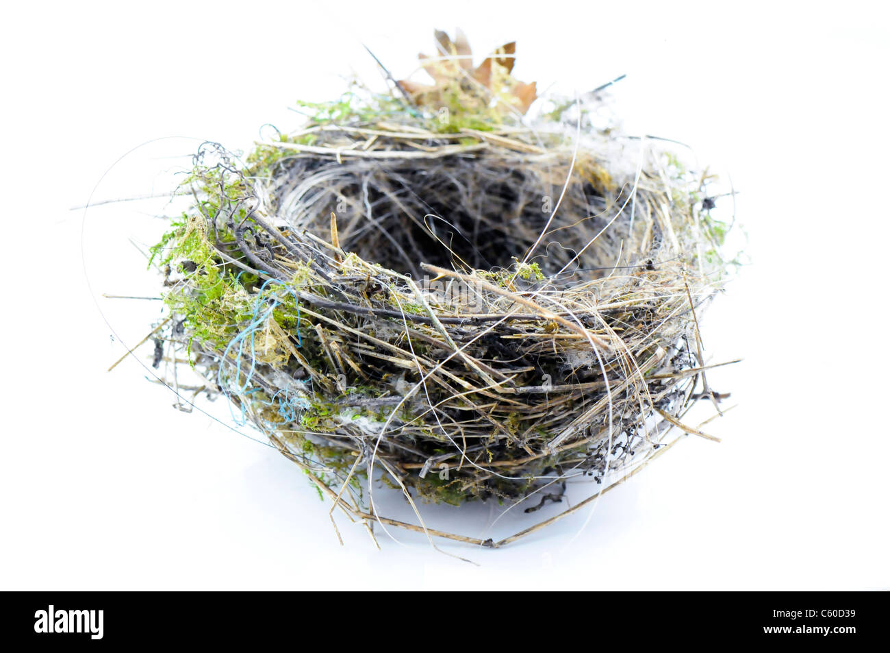 Birds nest hi-res stock photography and images - Alamy