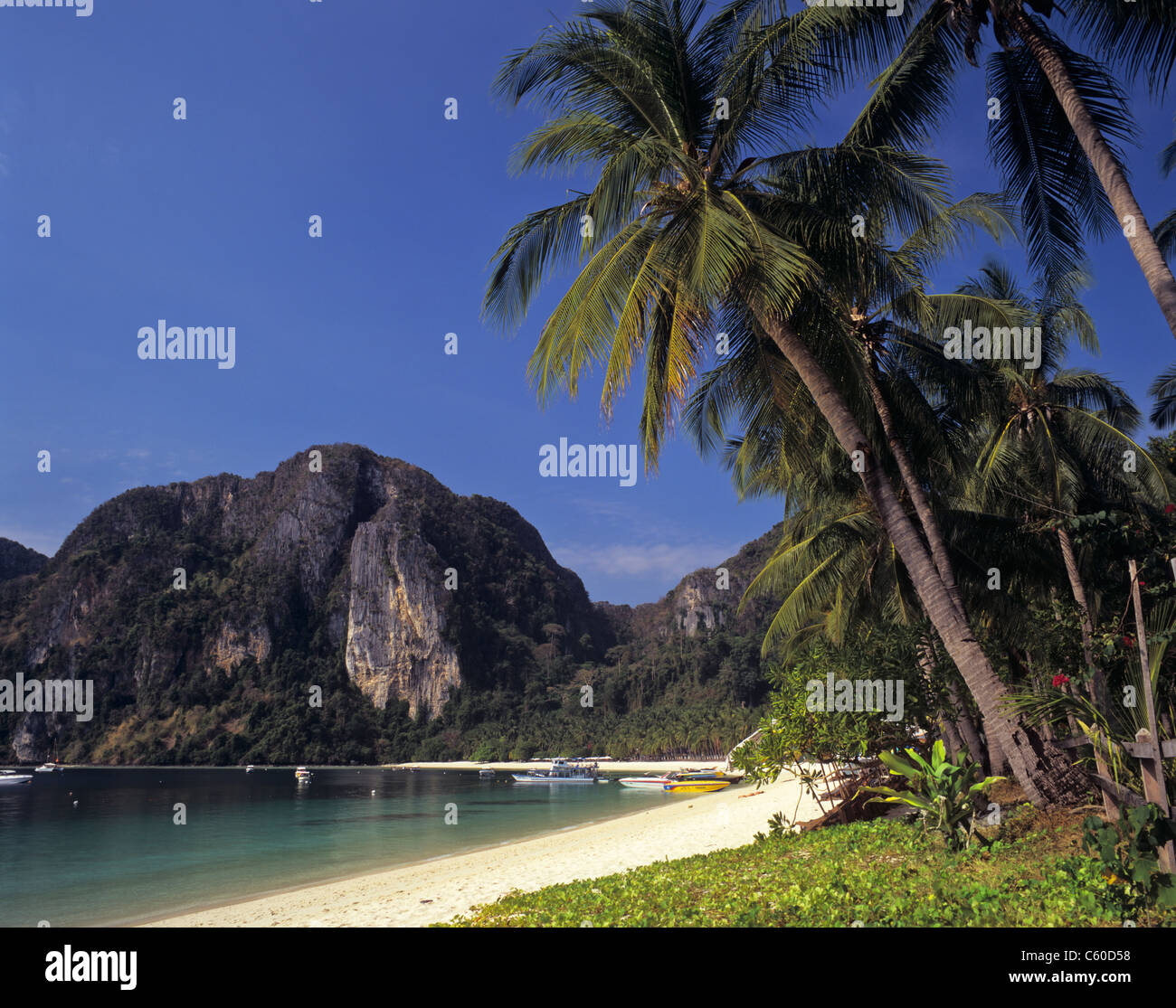 Ban Ton Sai Beach Ko Phi Phi Andaman Coast Thailand Stock Photo - Alamy