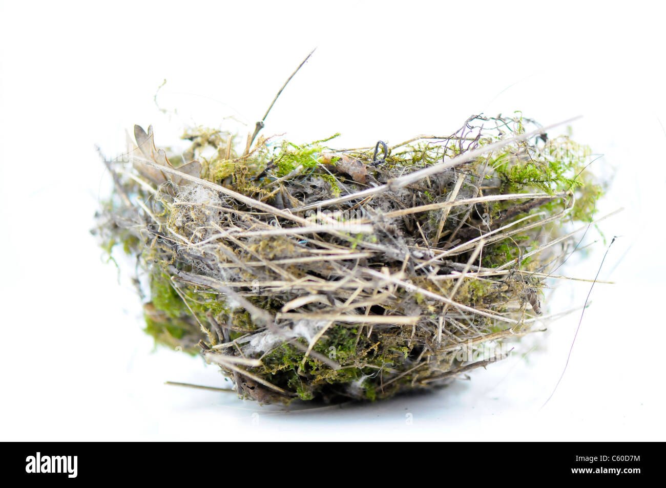 Birds nest hi-res stock photography and images - Alamy