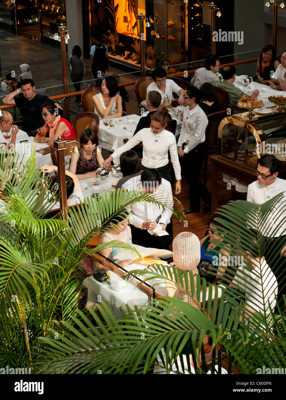 Twg tea hi-res stock photography and images - Alamy