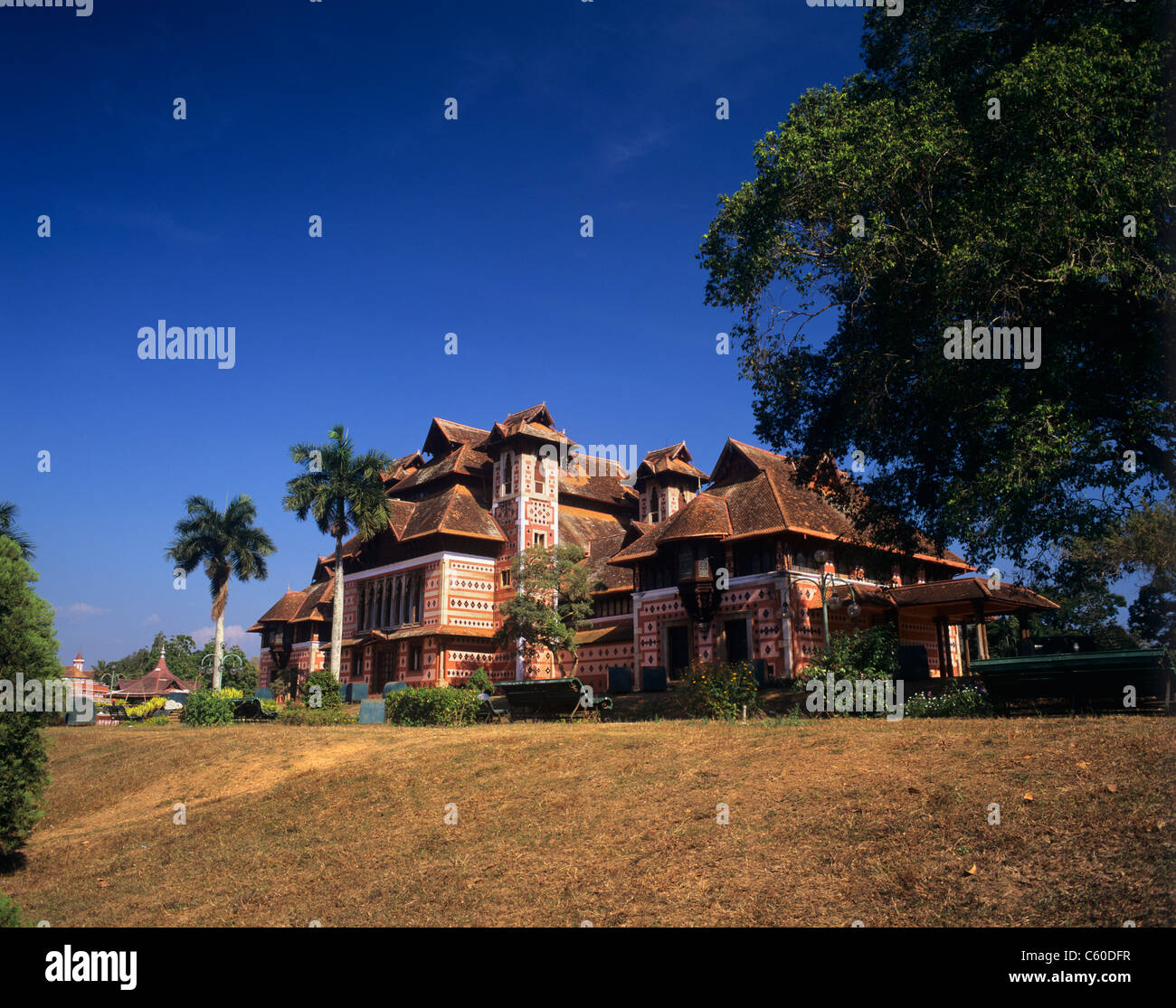 Napier museum architecture hi-res stock photography and images - Alamy