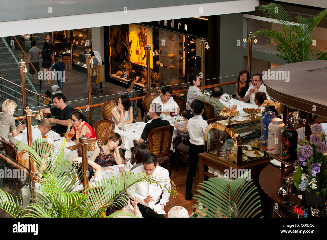 Twg tea hi-res stock photography and images - Alamy