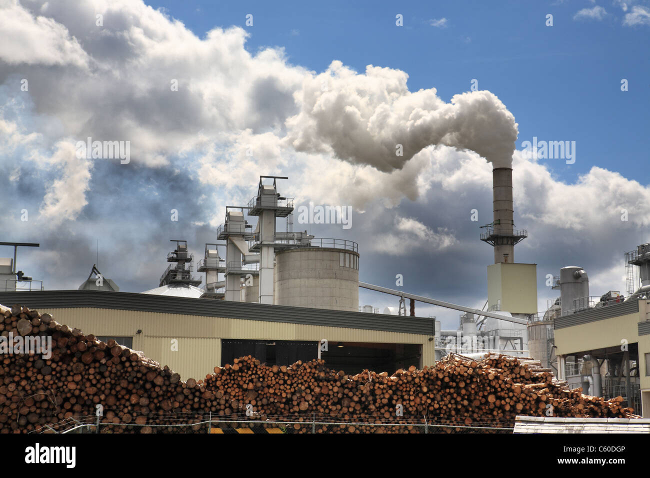 Egger (UK) limited wood processing plant Hexham, Northumberland, north ...