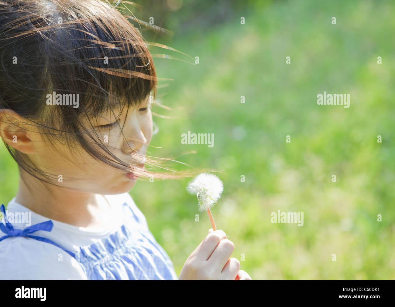 Girl blowing dandelion puff Stock Photo - Alamy