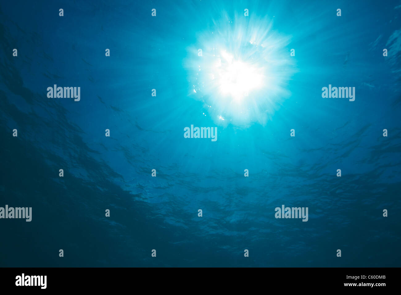 Rapture in blue hi-res stock photography and images - Alamy