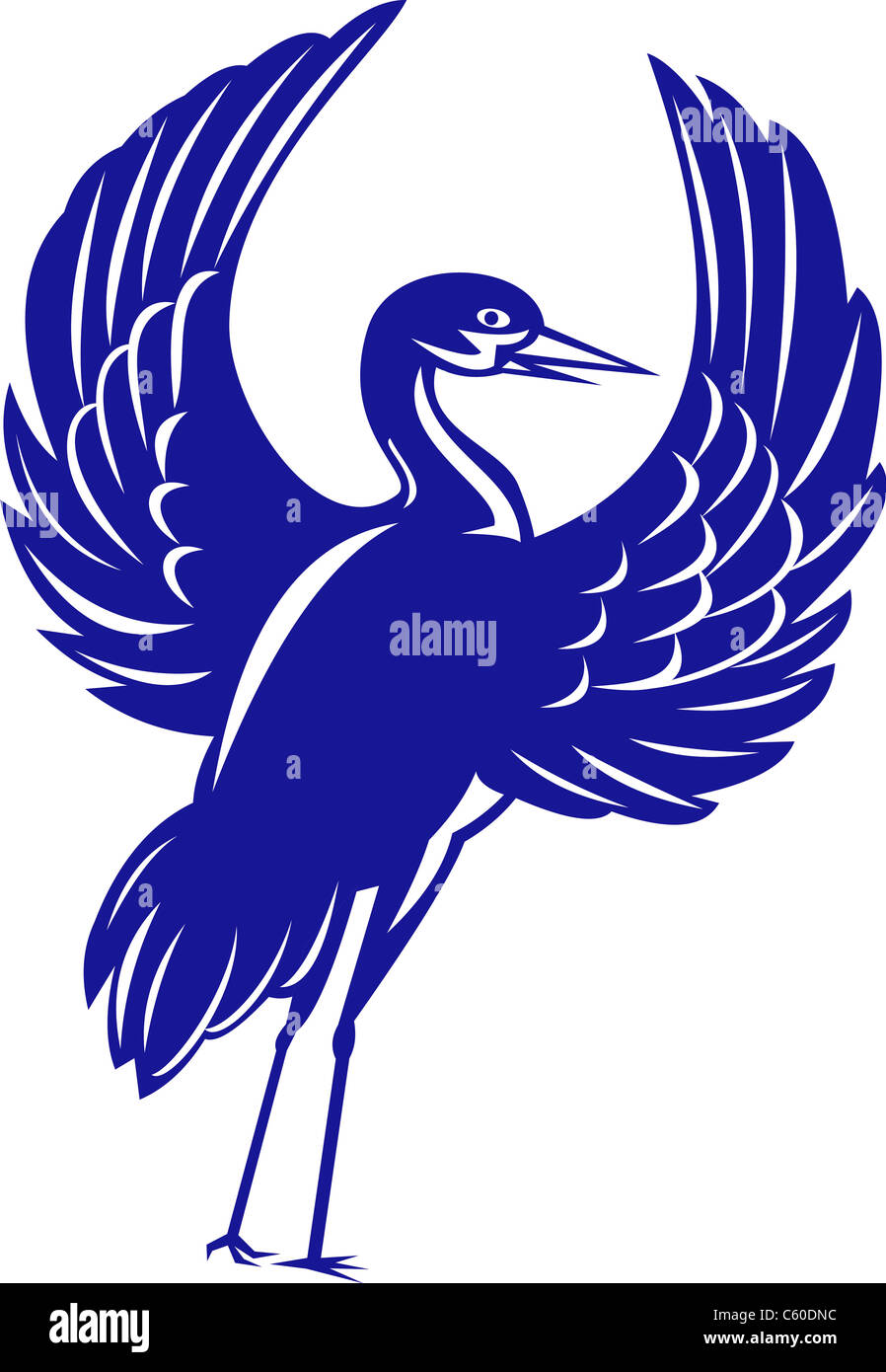 illustration of a Crane flapping wings done in retro woodcut style on ...
